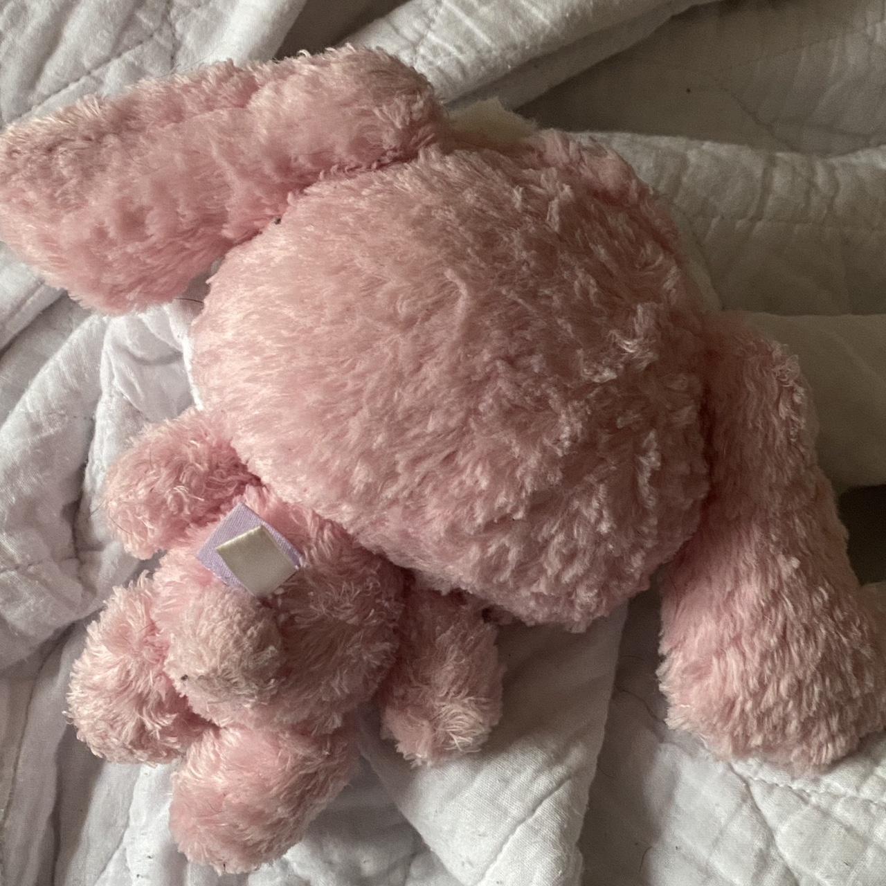 Balletusa sugarbunnies plush Missing crown In... - Depop