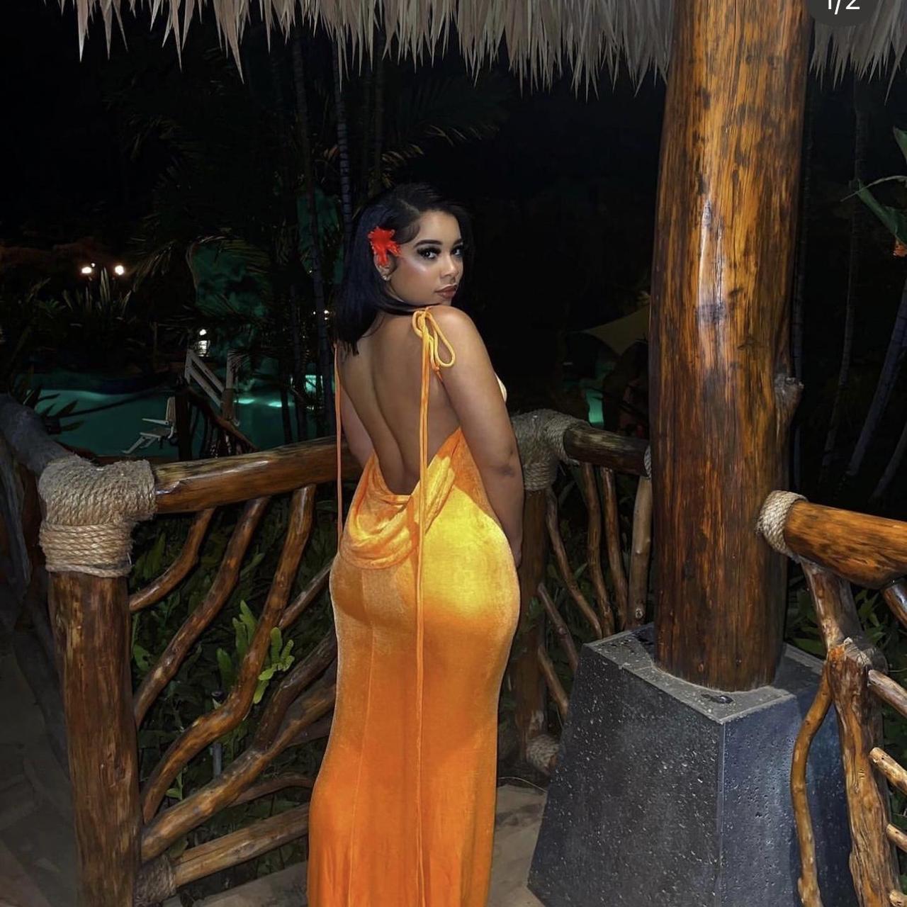 Melani the label dress - Depop