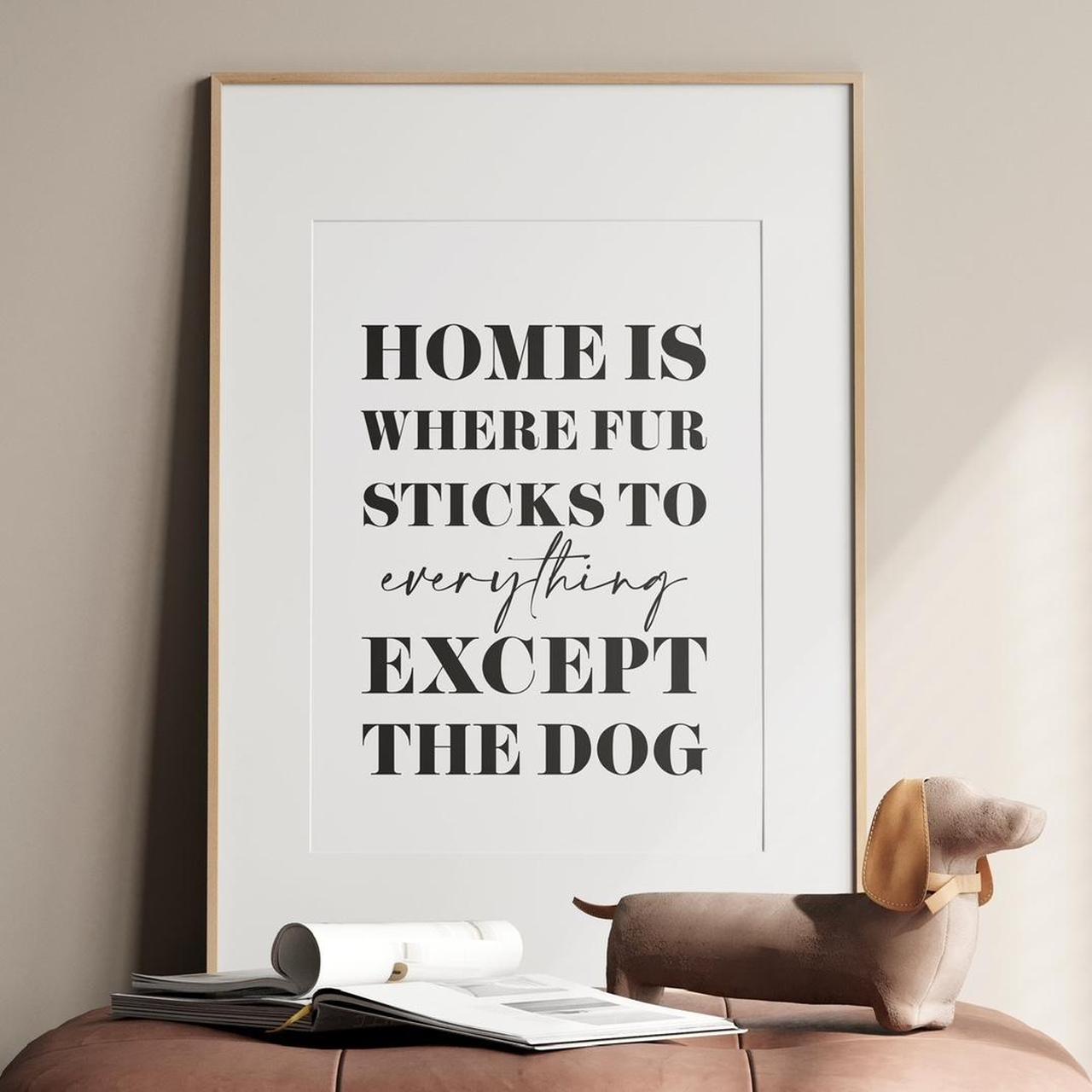 Home is where fur sticks to everything except the... - Depop
