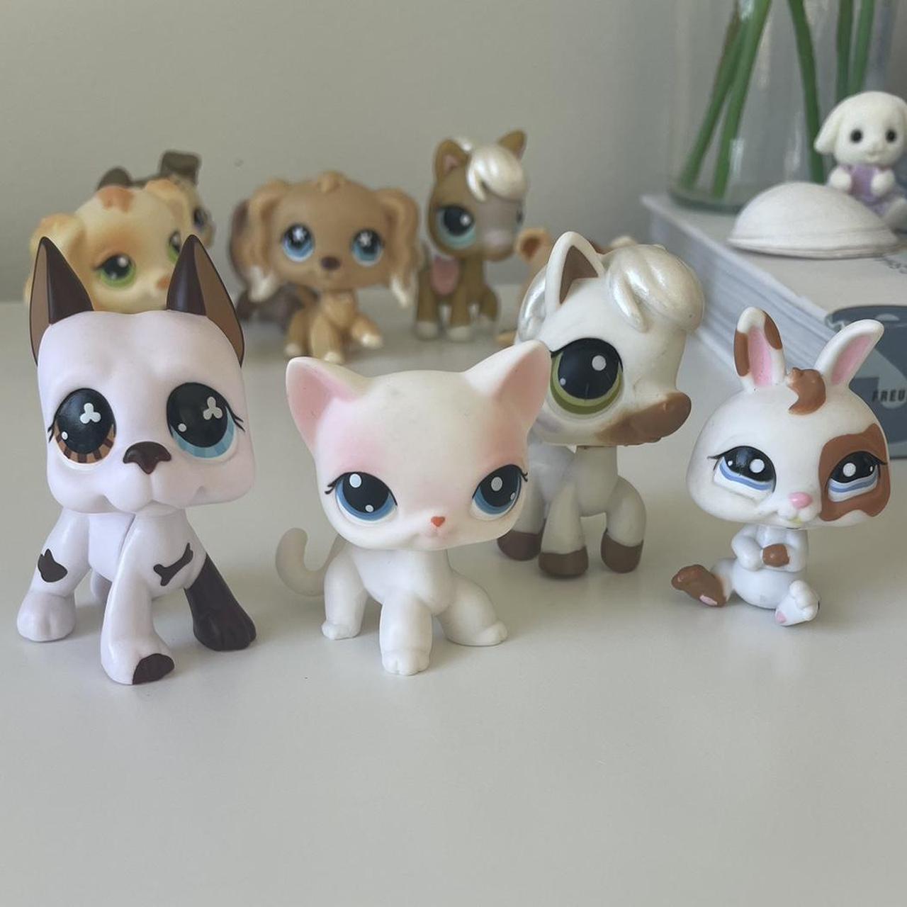 DO NOT BUY!! U WILL NOT BE REFUNDED LPS COLLECTION... | Depop