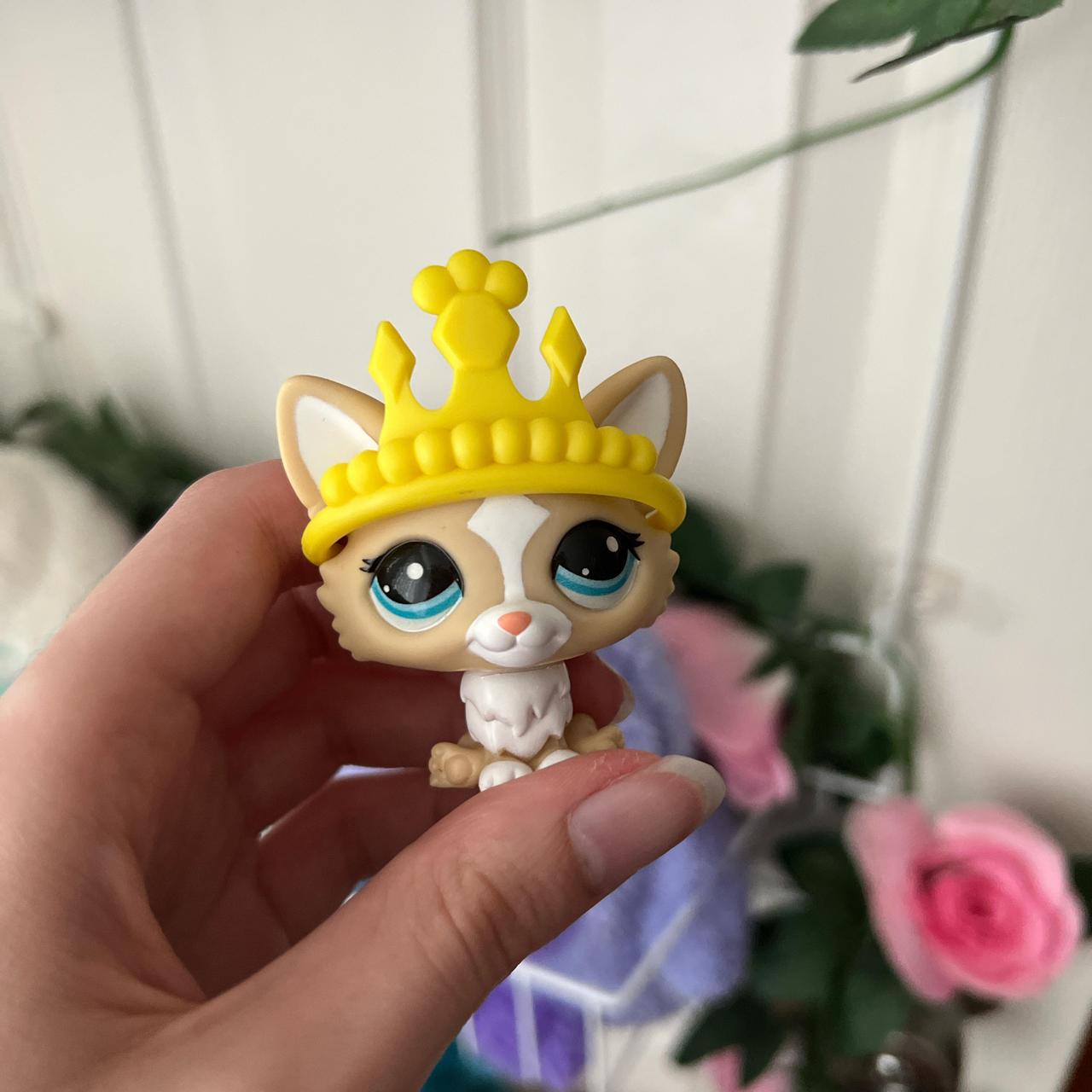 Gen 3(?) LPS! Only used for display. Comes with all... - Depop