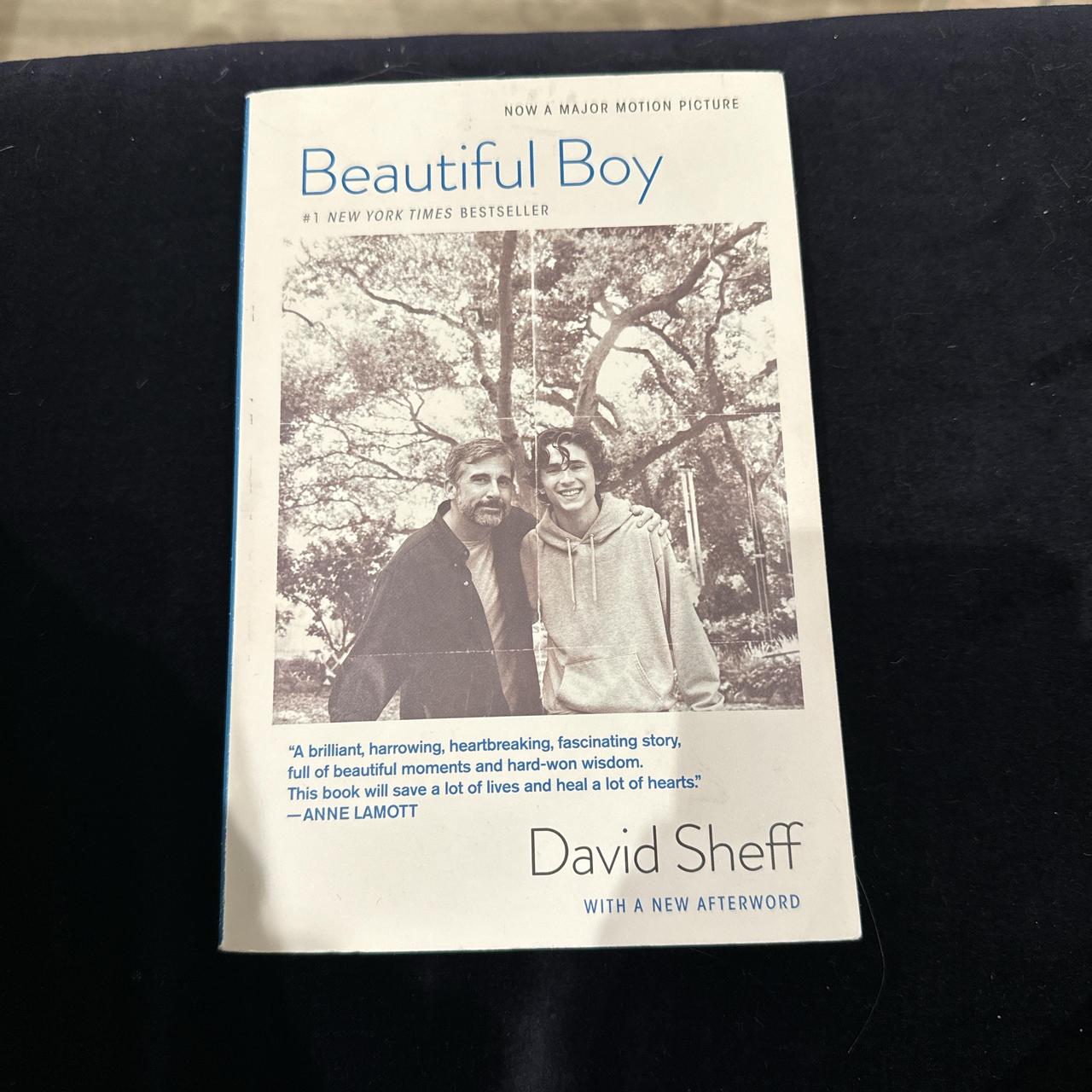 Beautiful boy by David Sheff #memoir #timotheechalamet - Depop