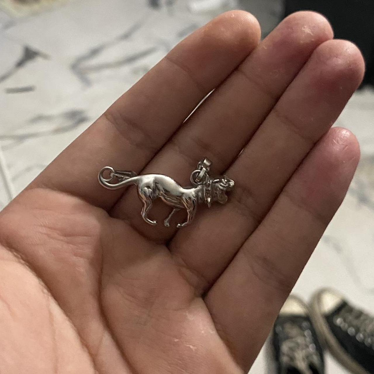 Hard Jewelry HELLCAT FULLBODY PENDANT - perfect... - Depop