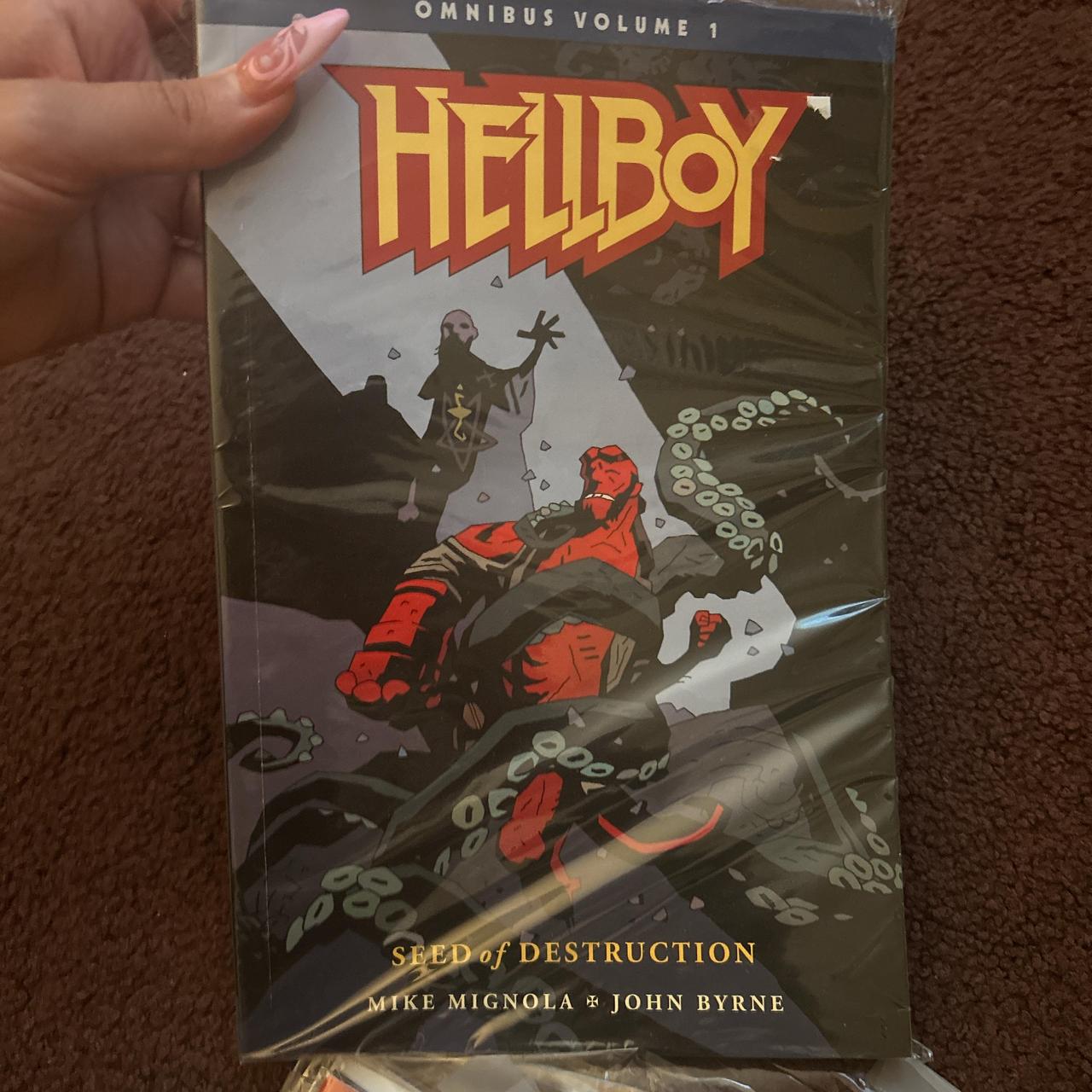 Hellboy bundle! All in good condition, each comic... - Depop