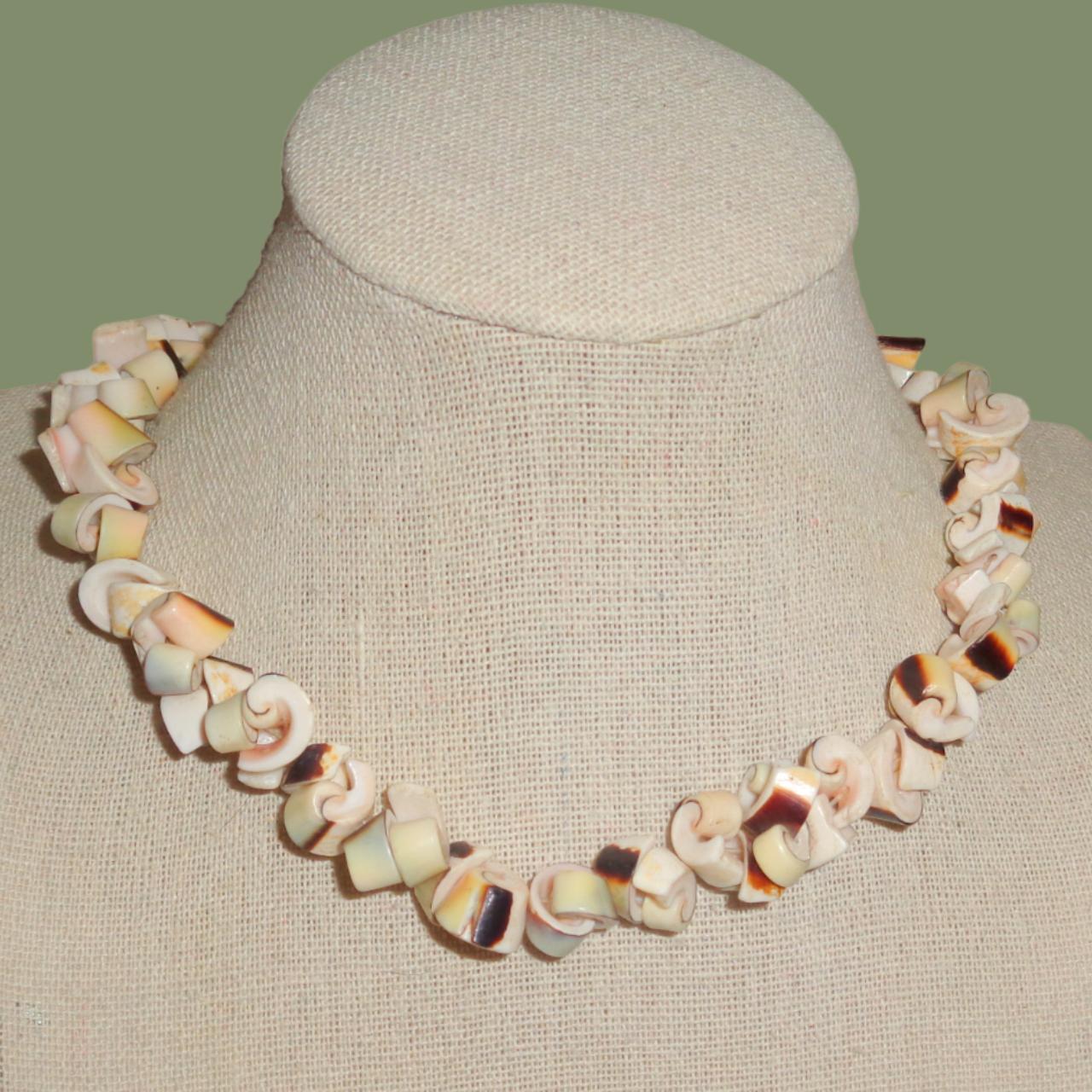 Luhuanus Curly Curled Spiral Conch Shell Seashell... | Depop