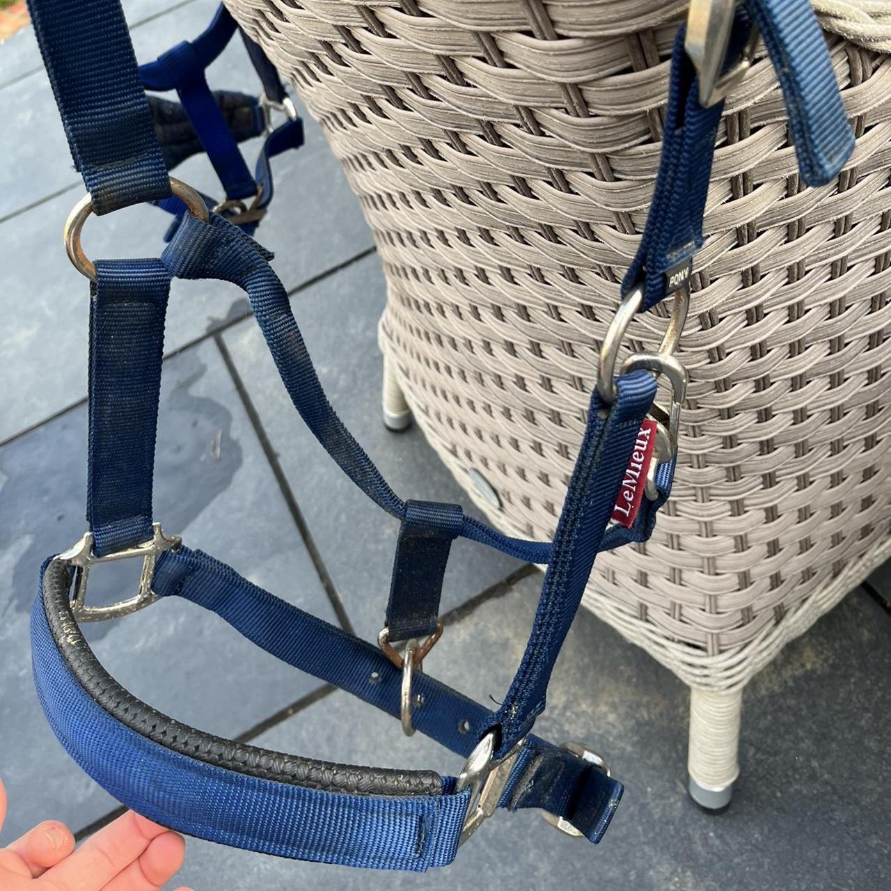 Lemieux Head collar pony #headcollar #horse... - Depop