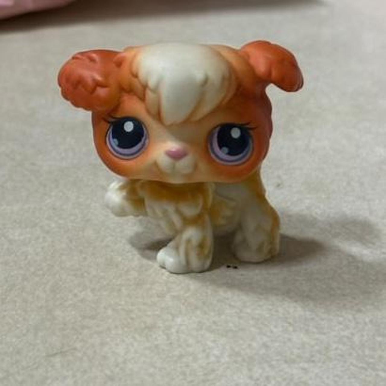 littlest pet shop poodle dog # 37. original from the... | Depop