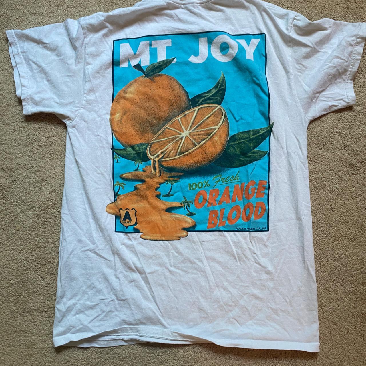 Mt. Joy Band t-shirt - Depop