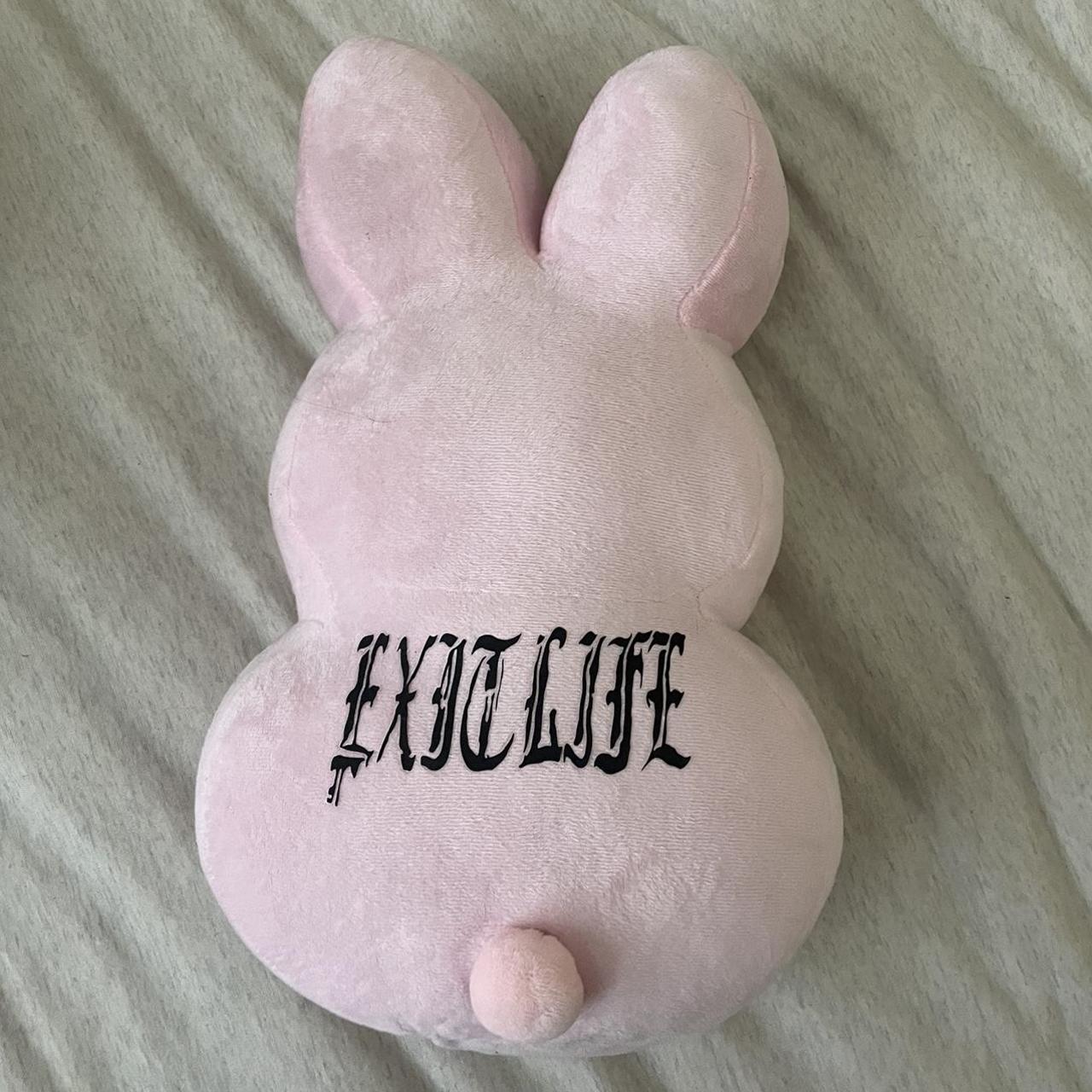 Lil Peep peep stuffed animal #lilpeep #peep... - Depop
