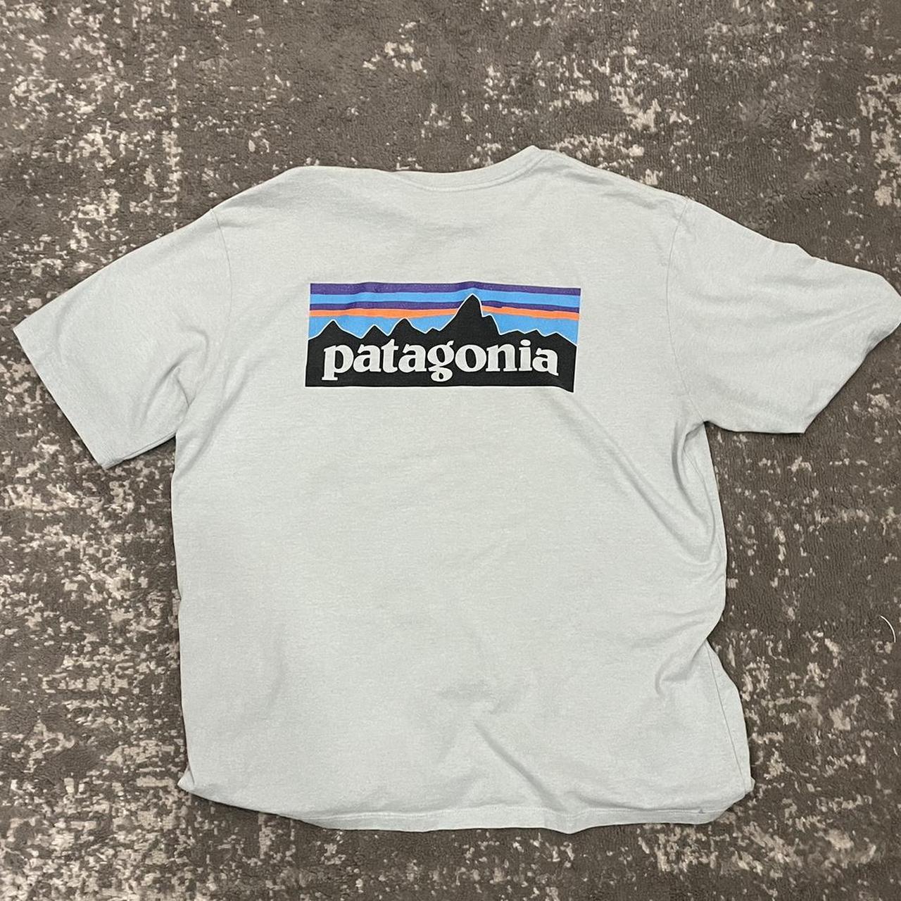 Patagonia tee perfect condition #patagonia - Depop