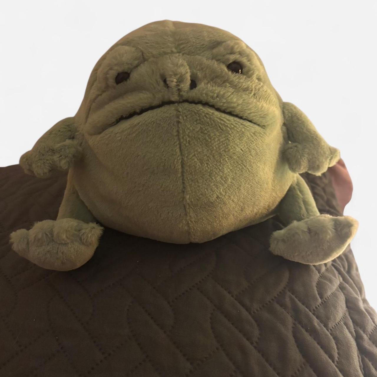 Medium Ricky Rain Frog by Jellycat London looking... | Depop