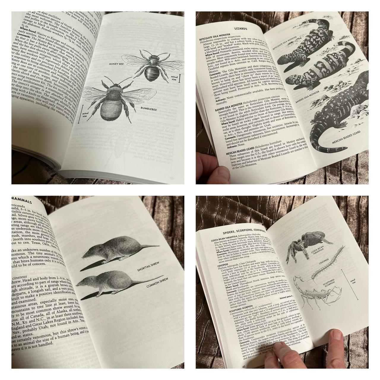 Venomous Animals & Poisonous Plants Peterson Field... - Depop