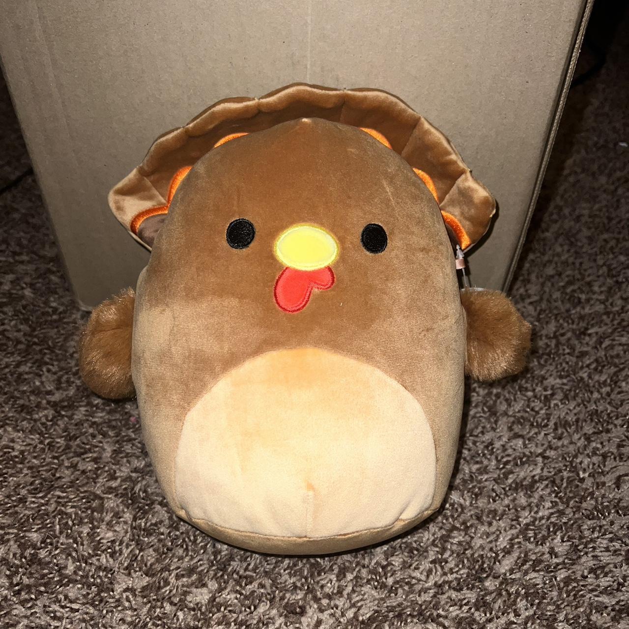 Terry the Turkey Squishmallow 8” NWT No trades or... - Depop