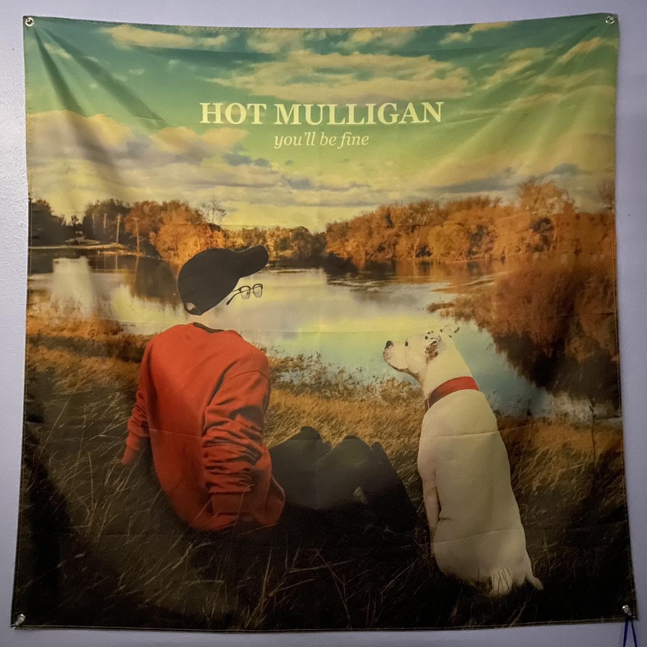 Hot Mulligan Youll Be Fine Album Flag Got From Depop