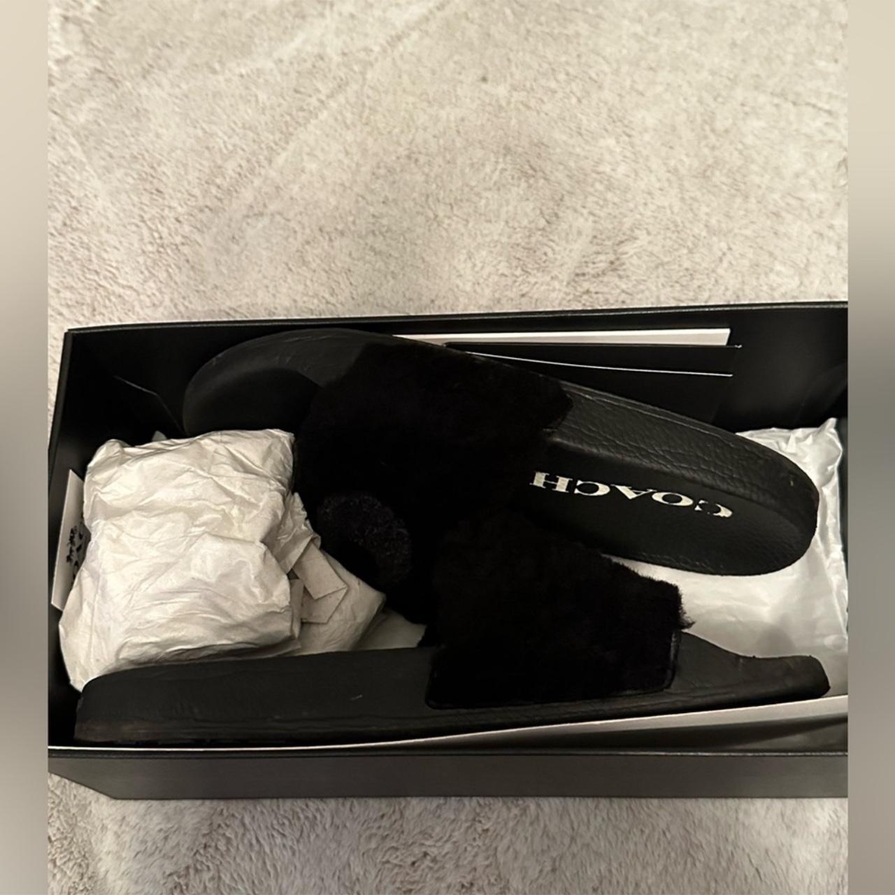 Coach Slides (Includes Original Box) - Depop