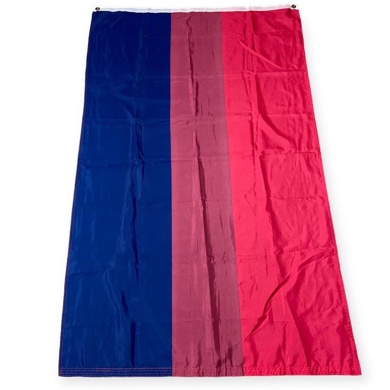 Bisexual pride flag🩷💙💙 • I’m unsure of the exact... - Depop