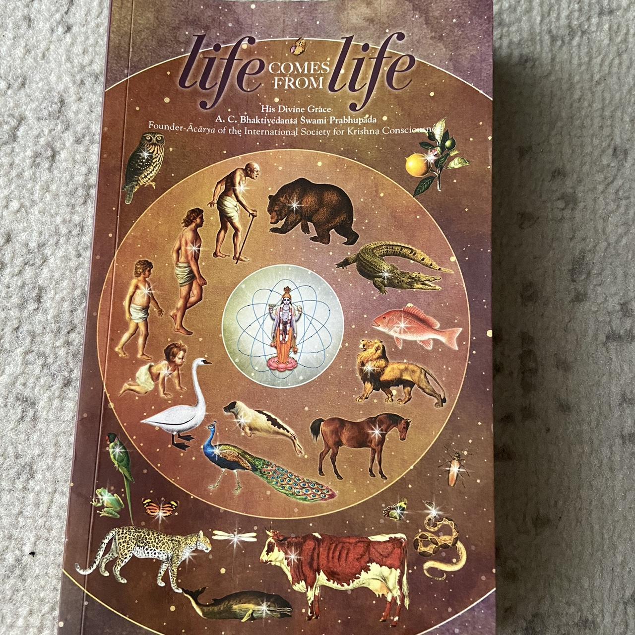 Life Comes from Life: Morning Walks with A. C.... - Depop