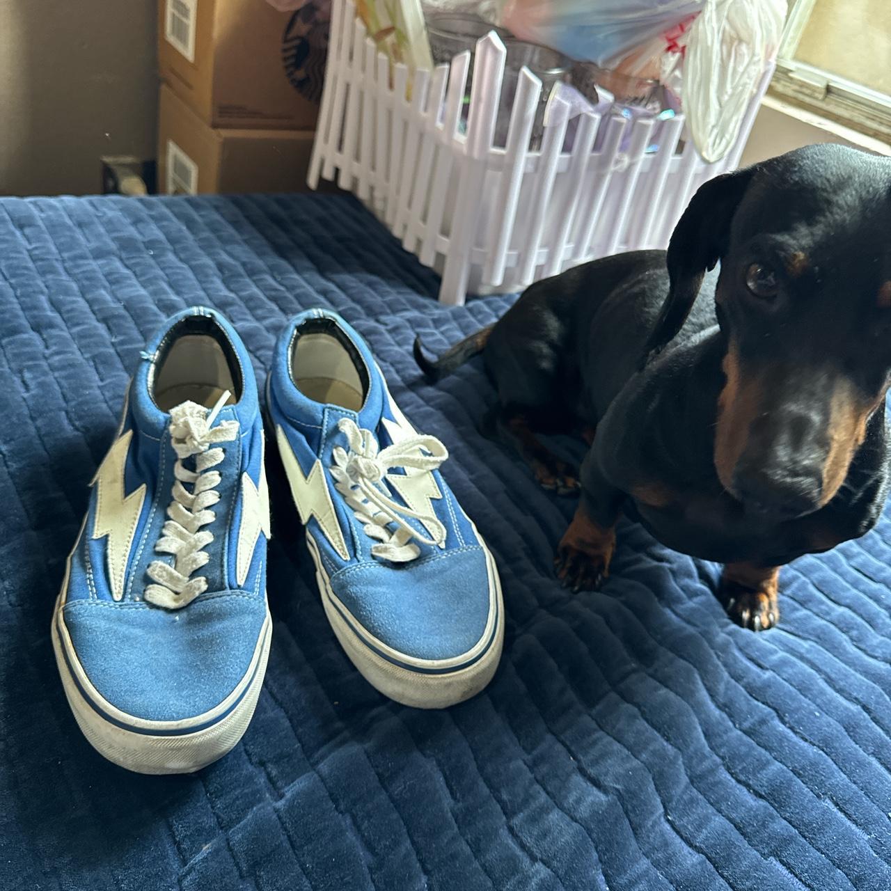 blue revenge x storm dog not included - Depop