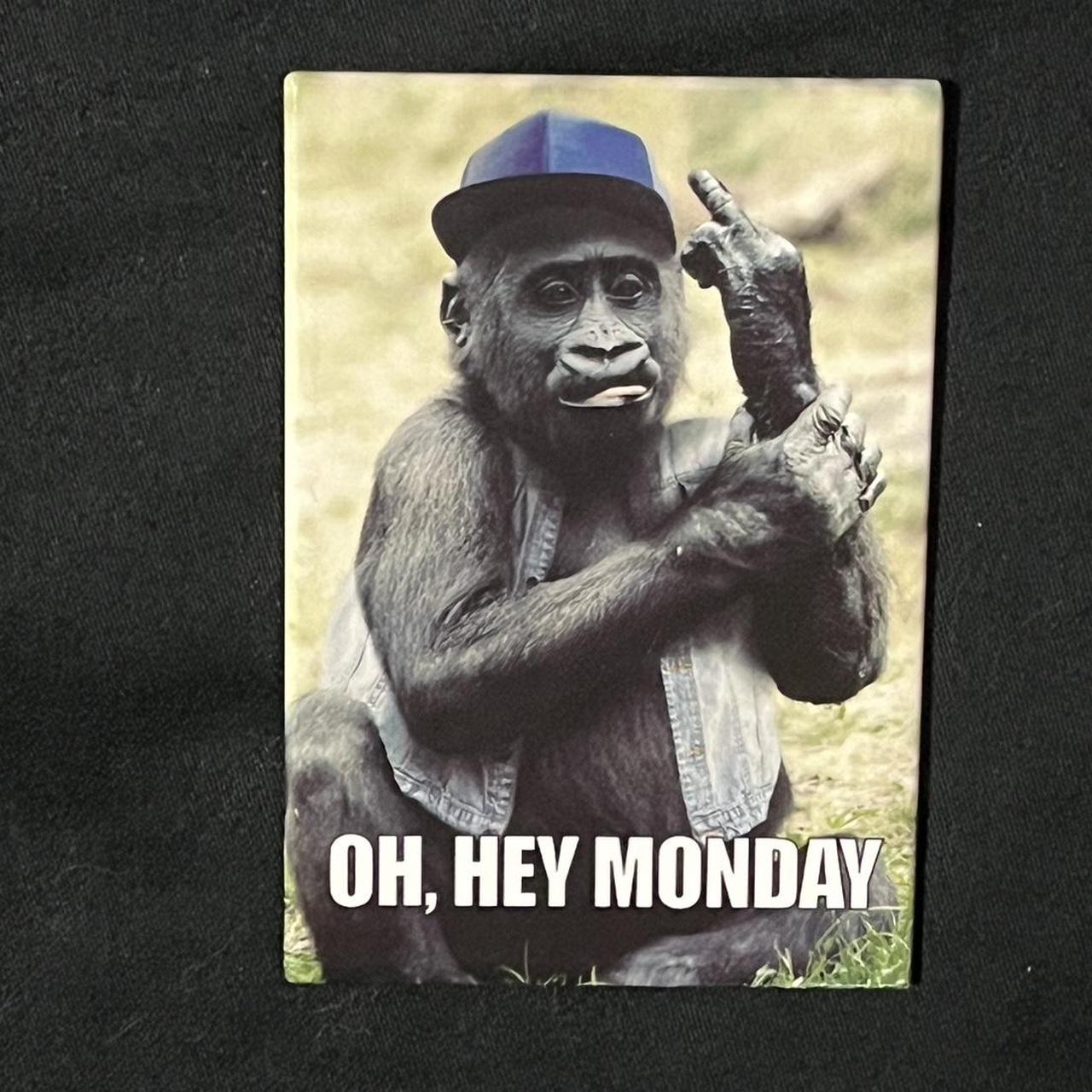 typo monkey ‘oh hey monday’ rude finger magnet - Depop