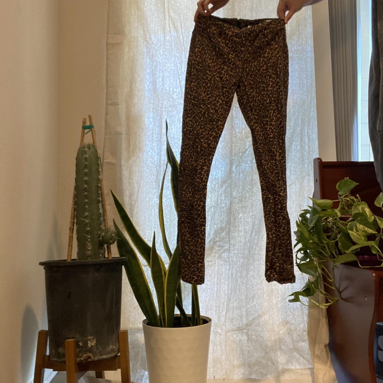 UNIF leopard pant with zipper in the back So cute... - Depop