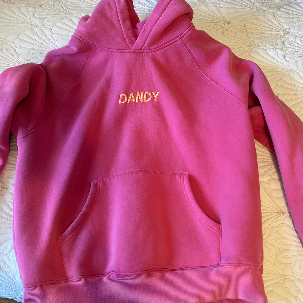 Pink Dandy hoodie let’s watch the sunset #dandy | Depop