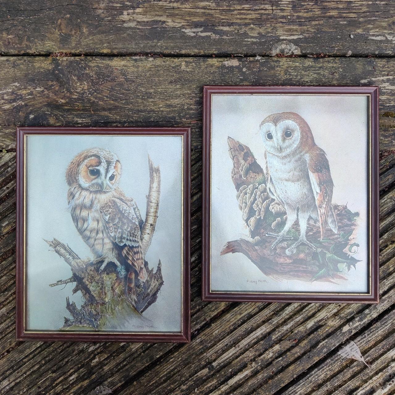 Vintage Audrey North foil dufex art Owl framed... - Depop