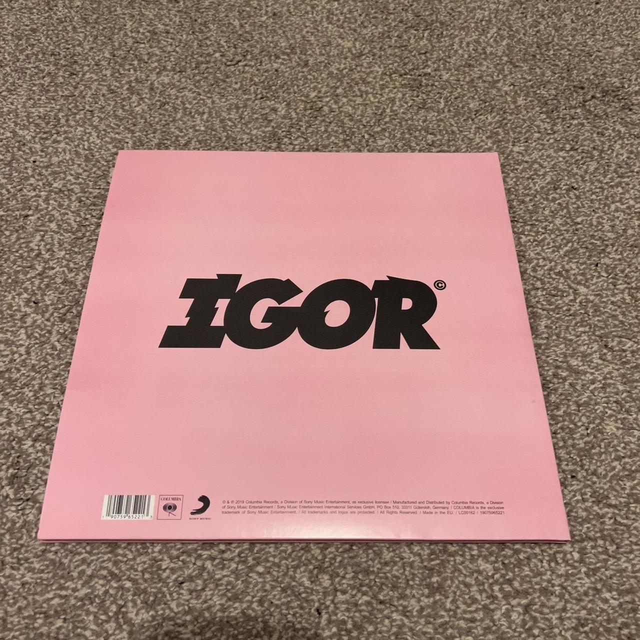 Tyler The Creator IGOR Vinyl Used Condition - Depop