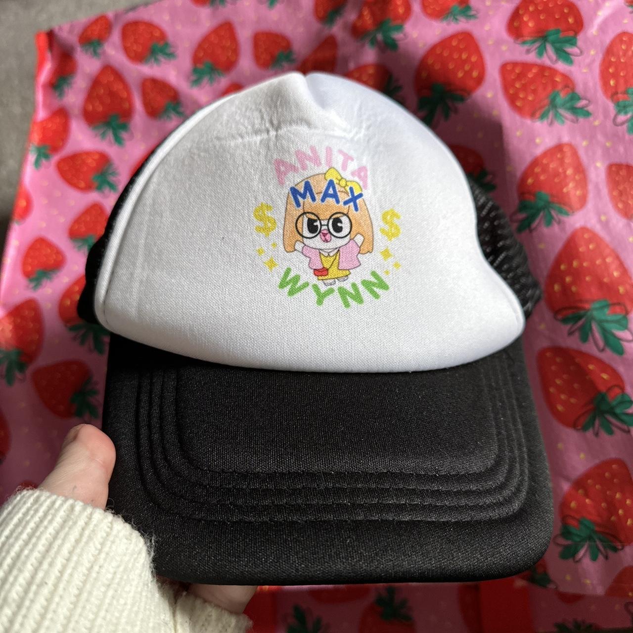 Drake Anita Max Wynn hat/cap nwot • purchased and... - Depop