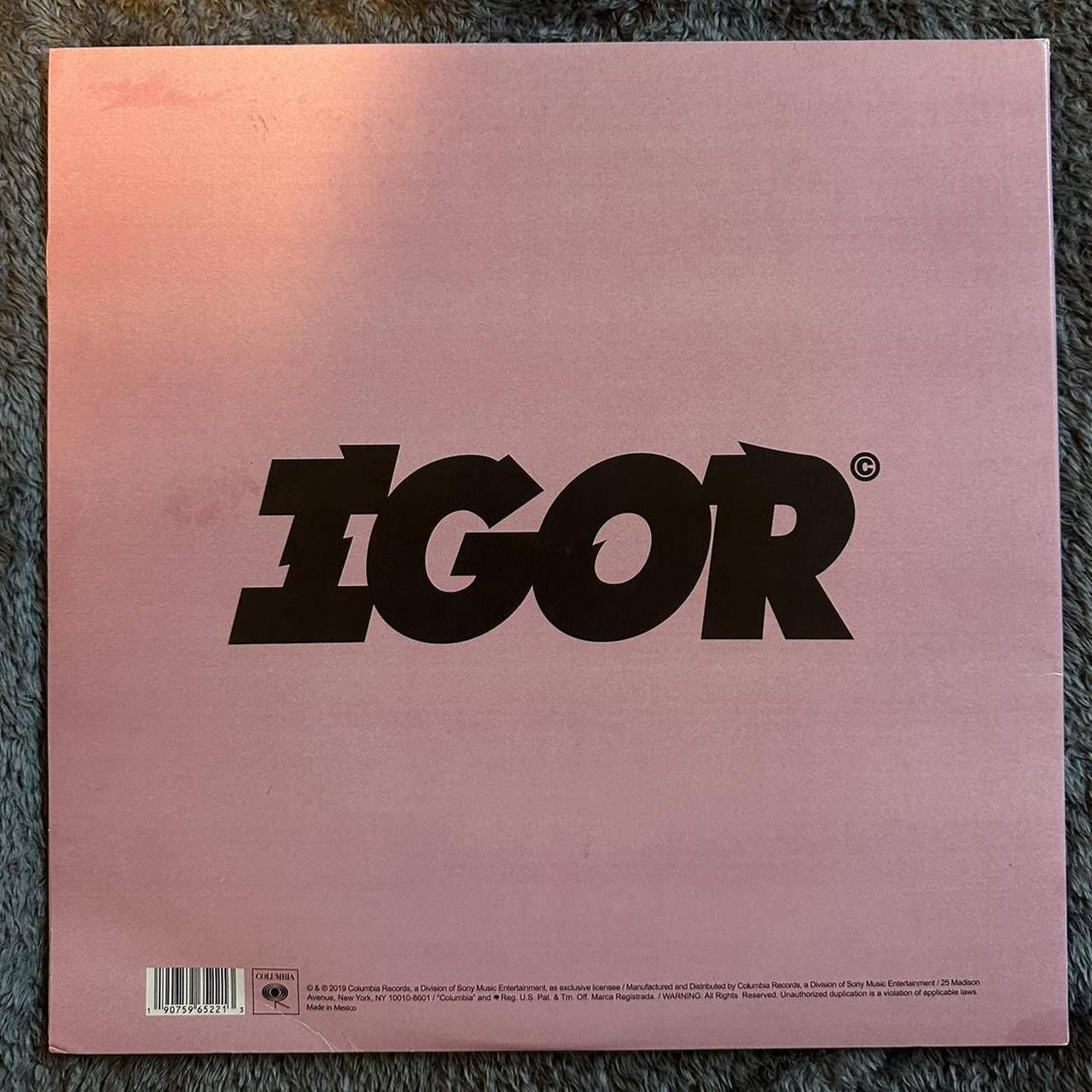 Tyler The Creator IGOR vinyl - Depop