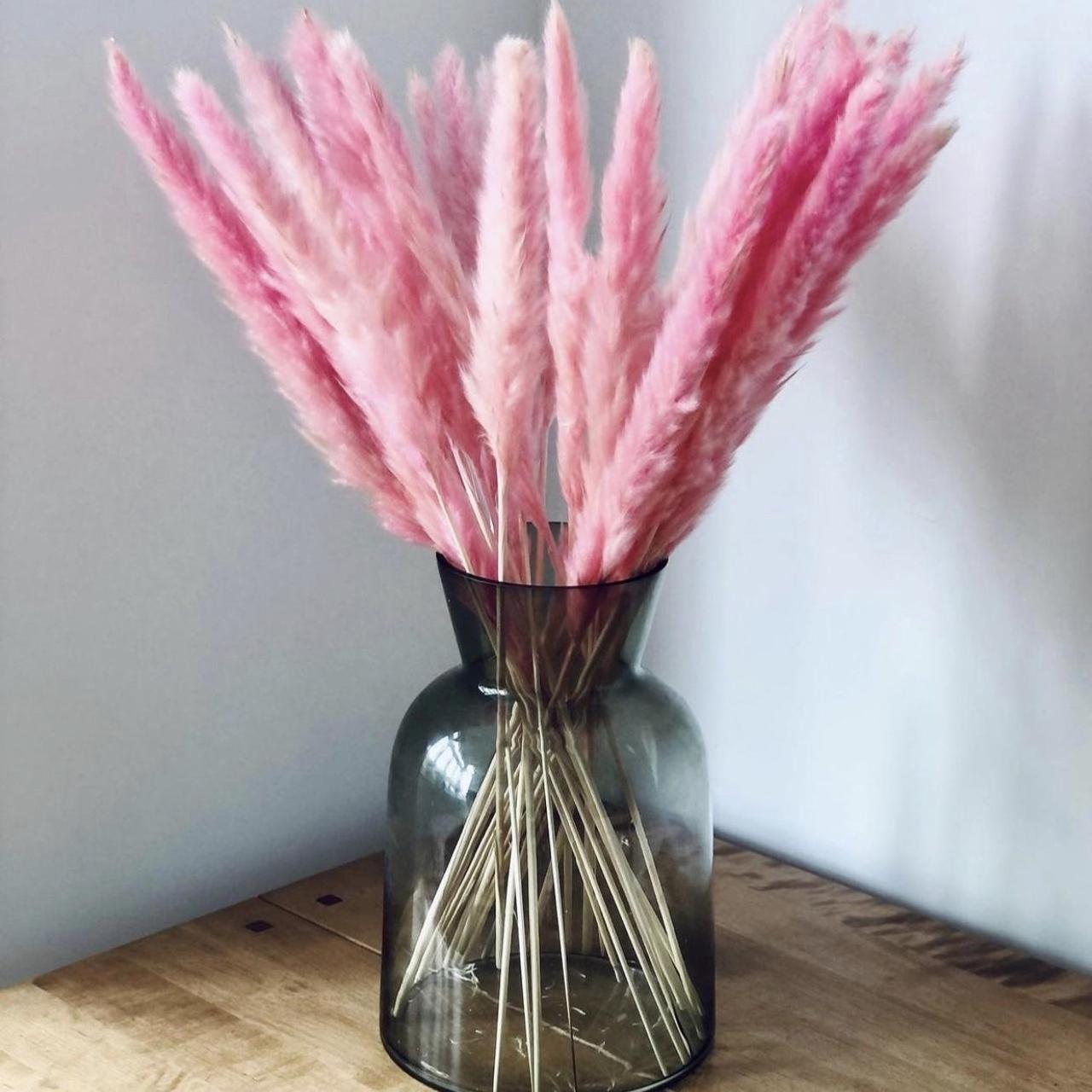 Brand new pink pampas grass Dried flowers 15pc in... - Depop