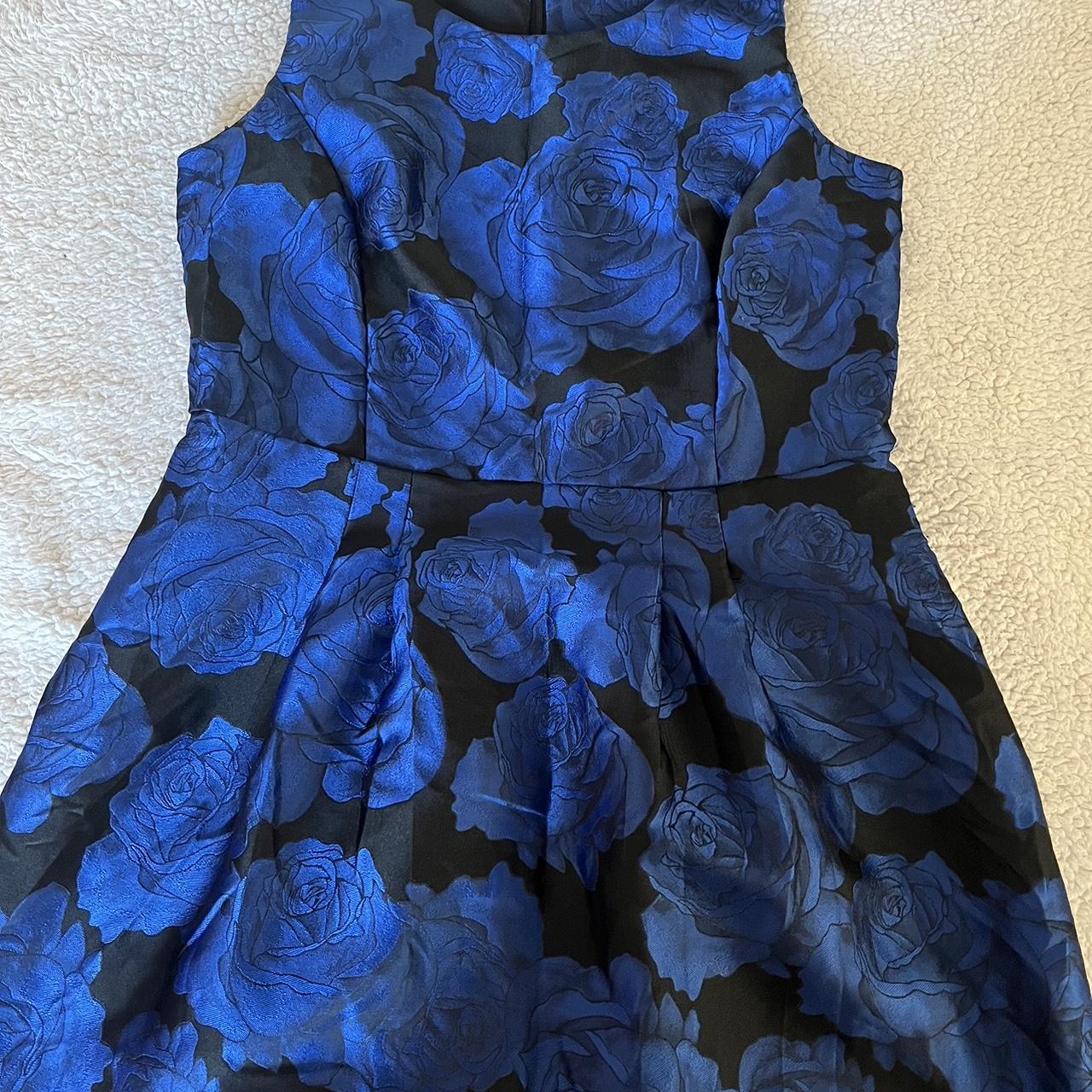 Shelby & Palmer blue rose dress. 👗 Only worn a few... - Depop