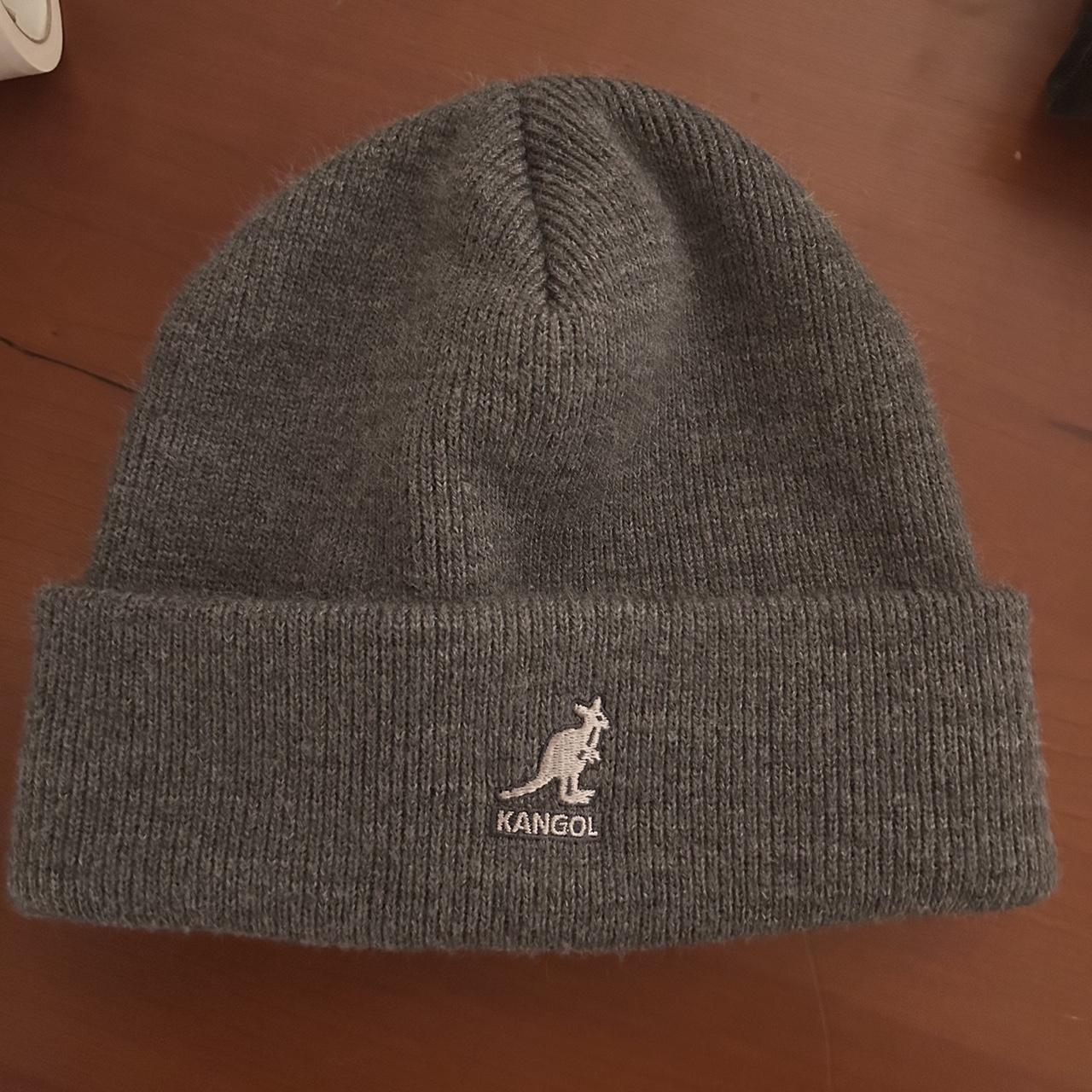 Any of theses beanies 10$ dm me if you got... - Depop