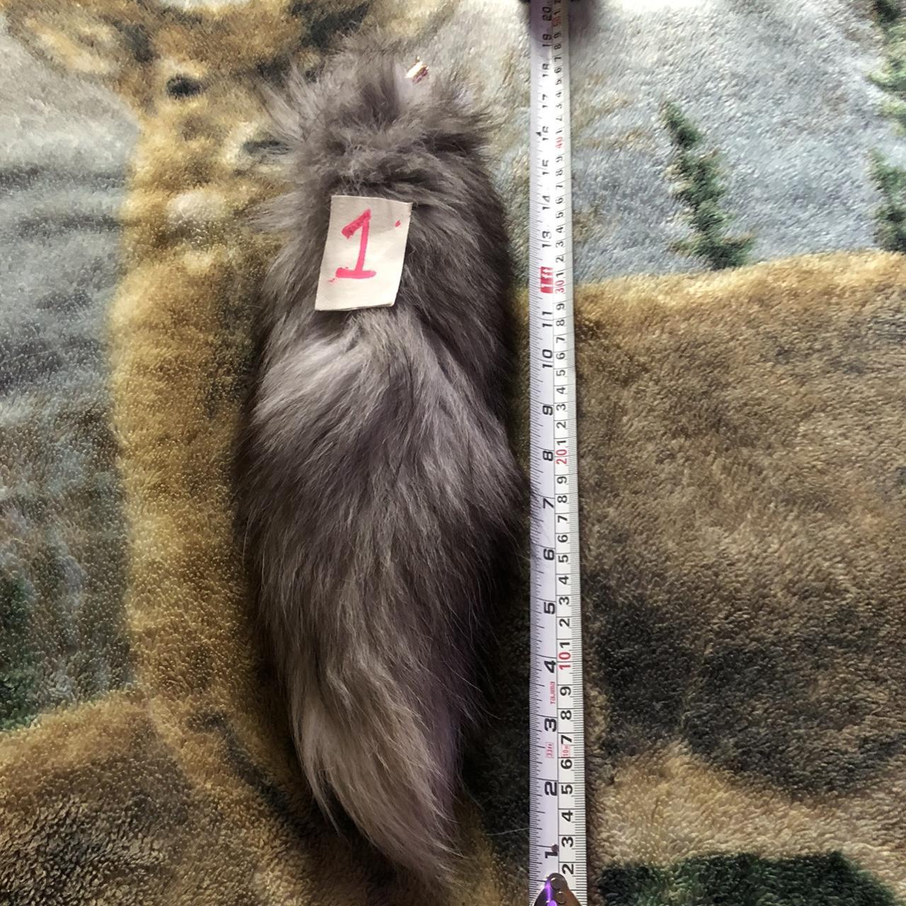 Blue frost fox real tails taxidermy | Depop