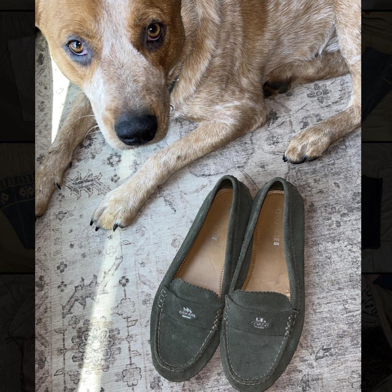 Coach Loafer Shoes. Says size 98 but fits more like... - Depop