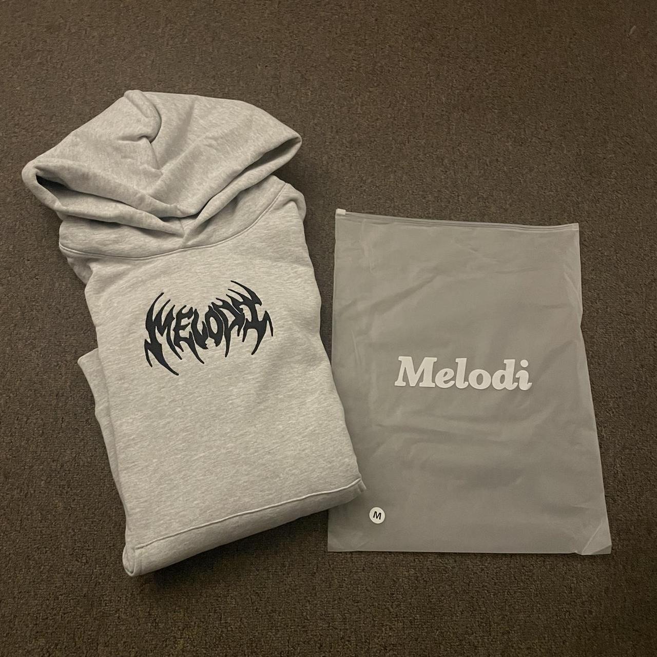 ec melodi hoodie tagged medium but fits like a... | Depop