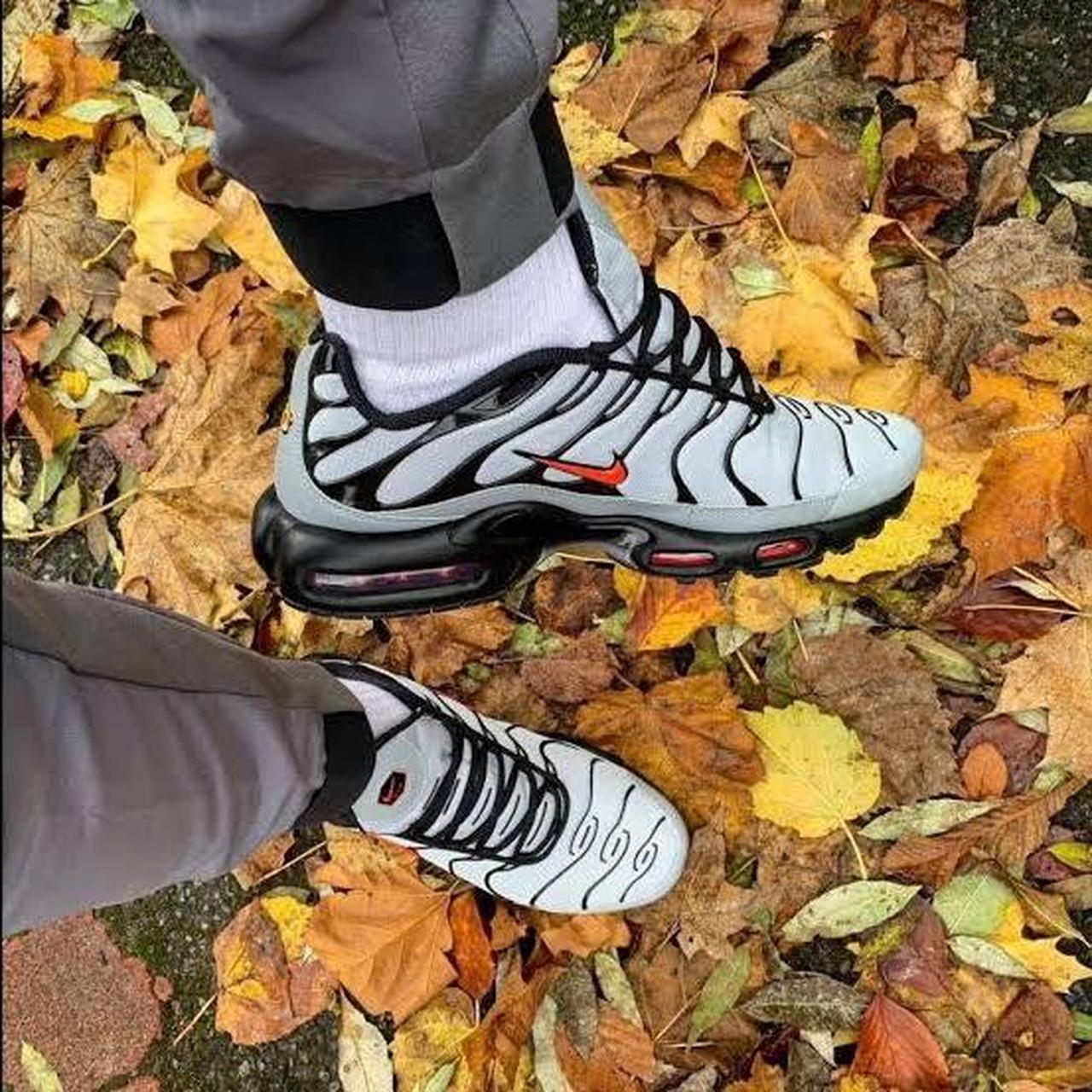 Nike Air Max Plus TNS Wolf Grey Black Crimson US13... - Depop