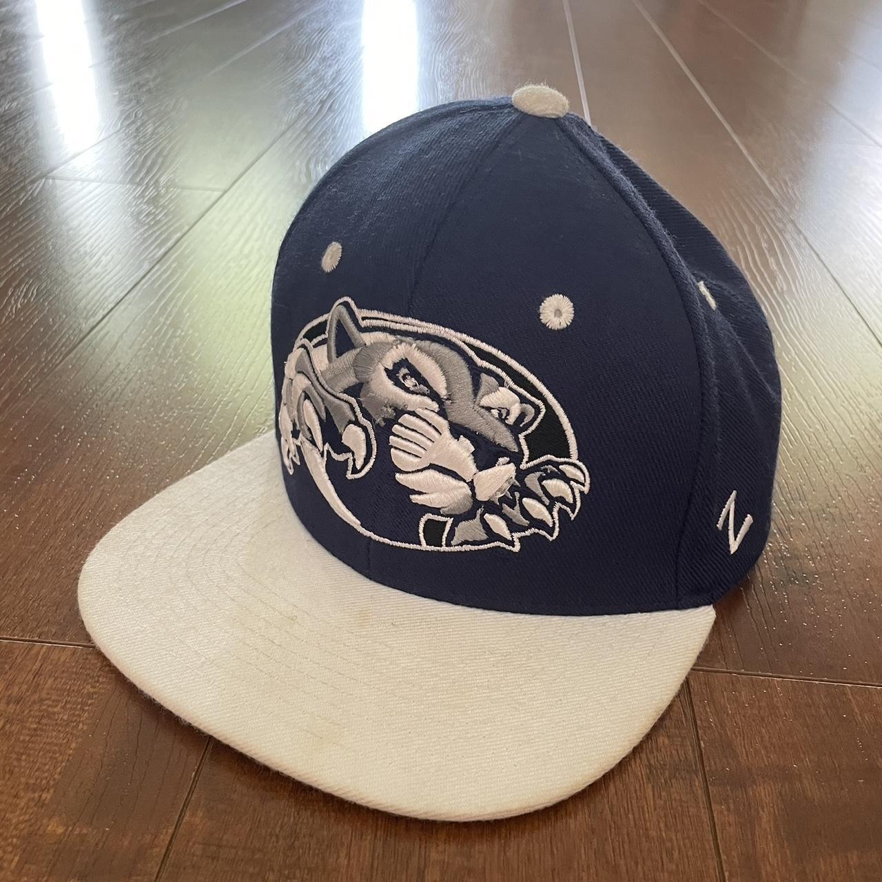 Men’s Vintage Penn State Baseball hat cap, condition... | Depop