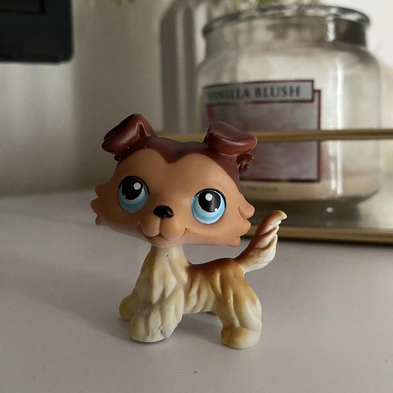Collie 58 paw down sage littlest pet shop lps 100%... - Depop