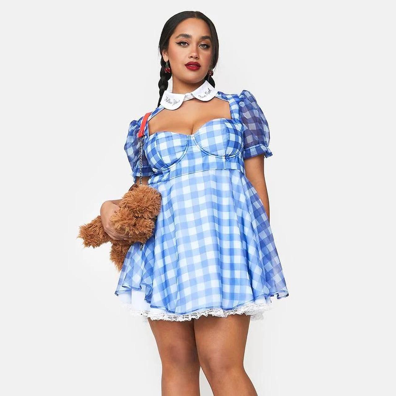 DOLLSKILL X WIZARD OF OZ Organza gingham dress in... - Depop