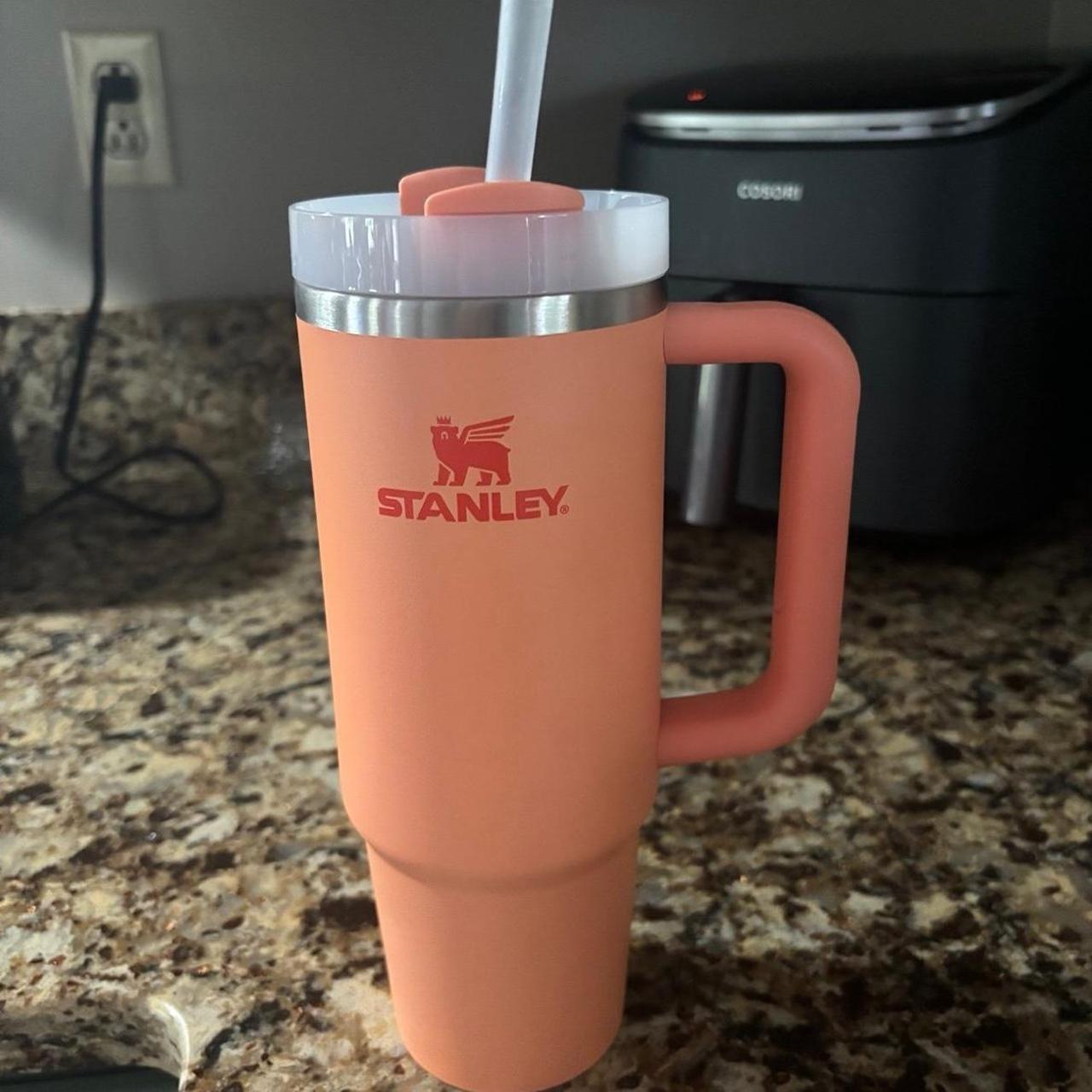 Nectarine Stanley 30oz. Used for a week, color is... - Depop