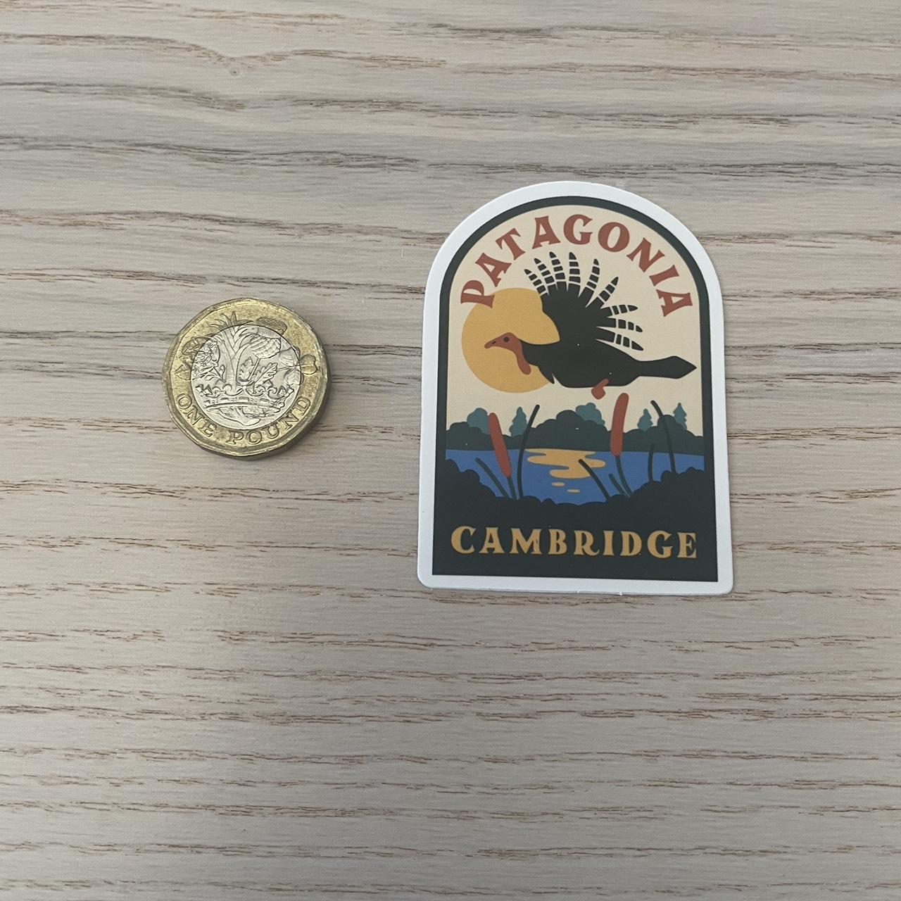 Patagonia sticker Perfect for laptops skateboards... - Depop