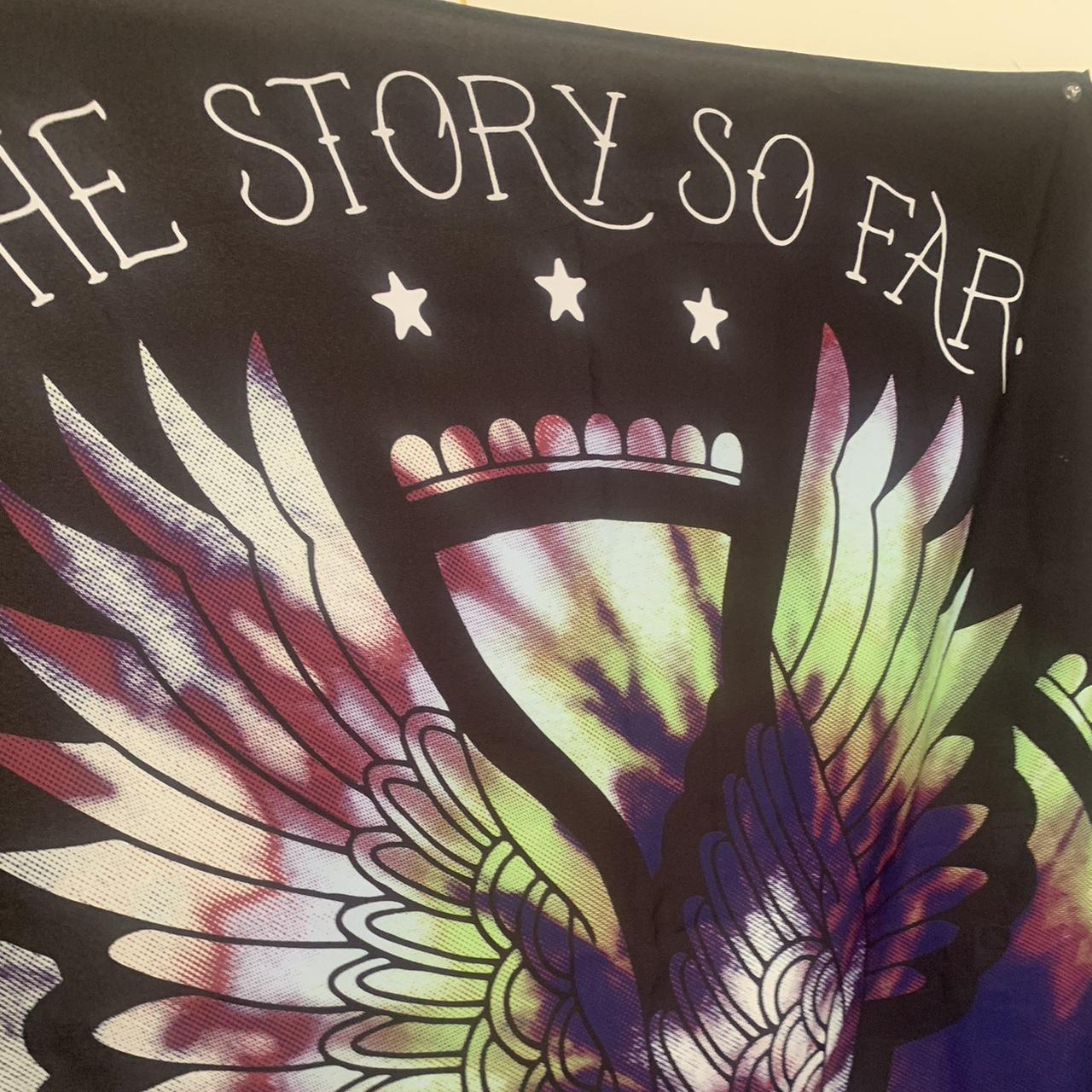 The story so far flag. Perfect condition #tssf... - Depop