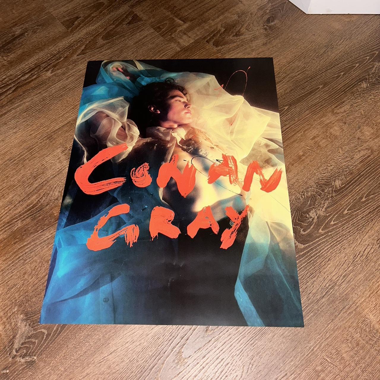 Conan Gray 18x24in poster! #ConanGray #SuperAche... - Depop