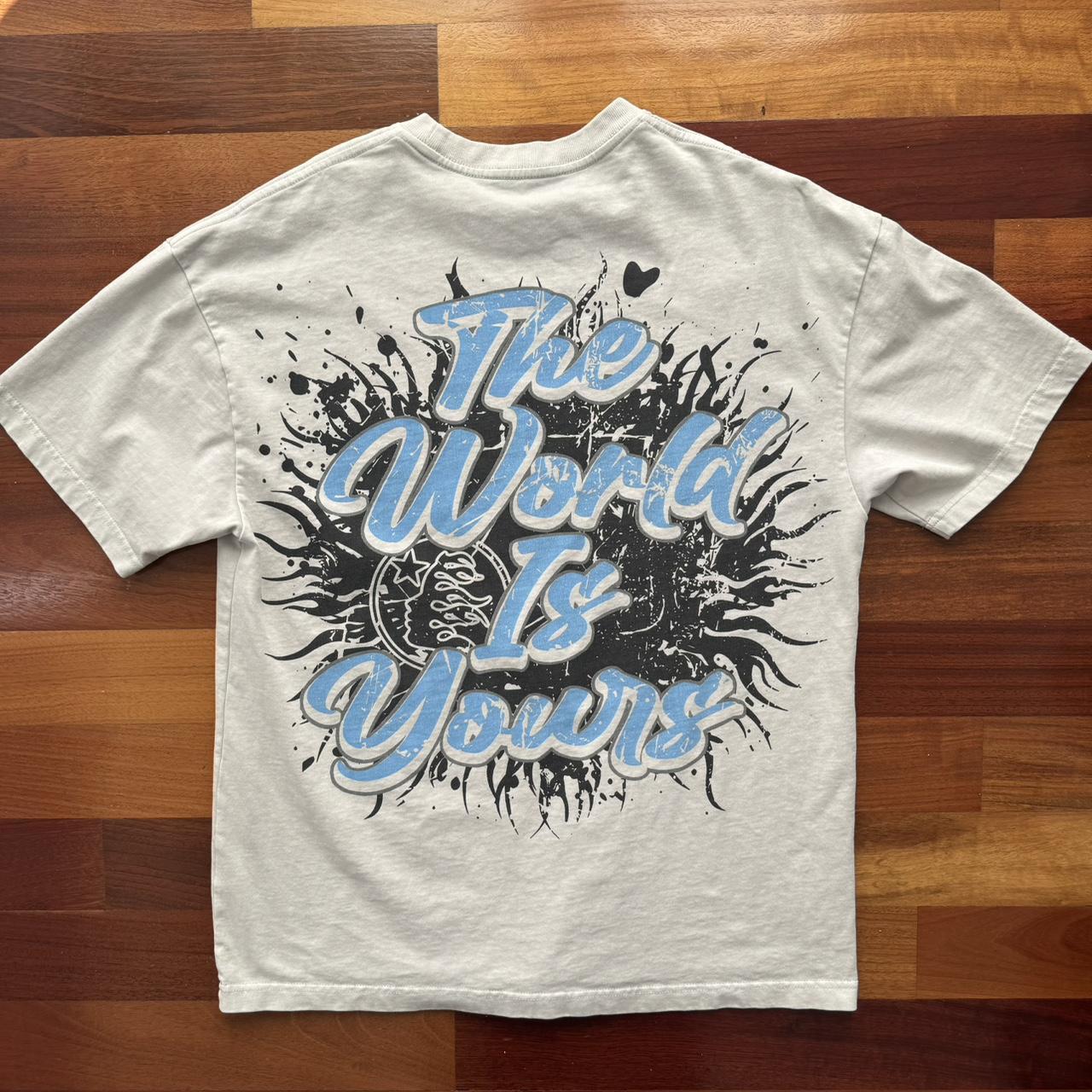 HELLSTAR RECORDS T SHIRT - ‘THE WORLD IS YOURS’... - Depop