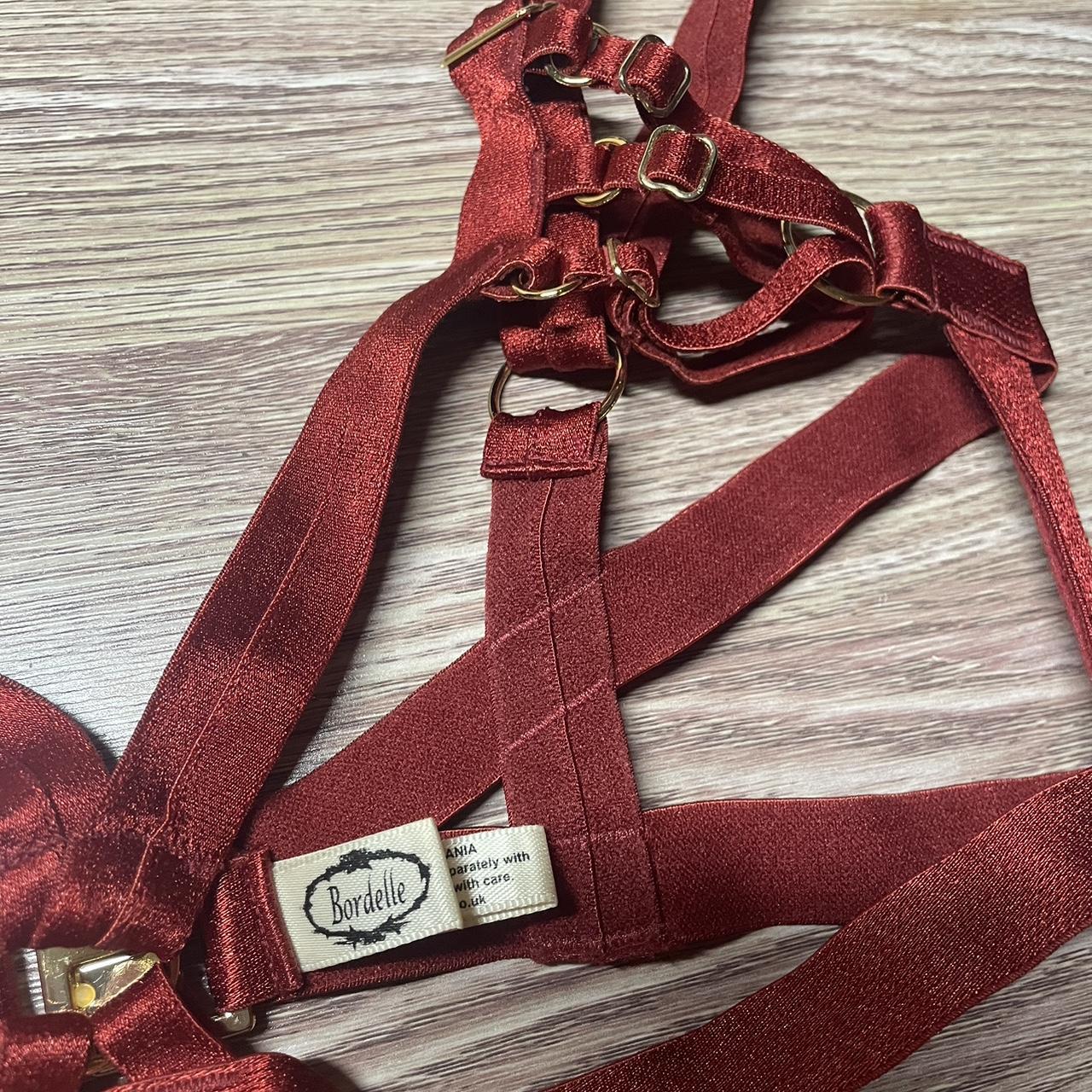 Atiler Bordelle harness red bra. all of the hardware... - Depop