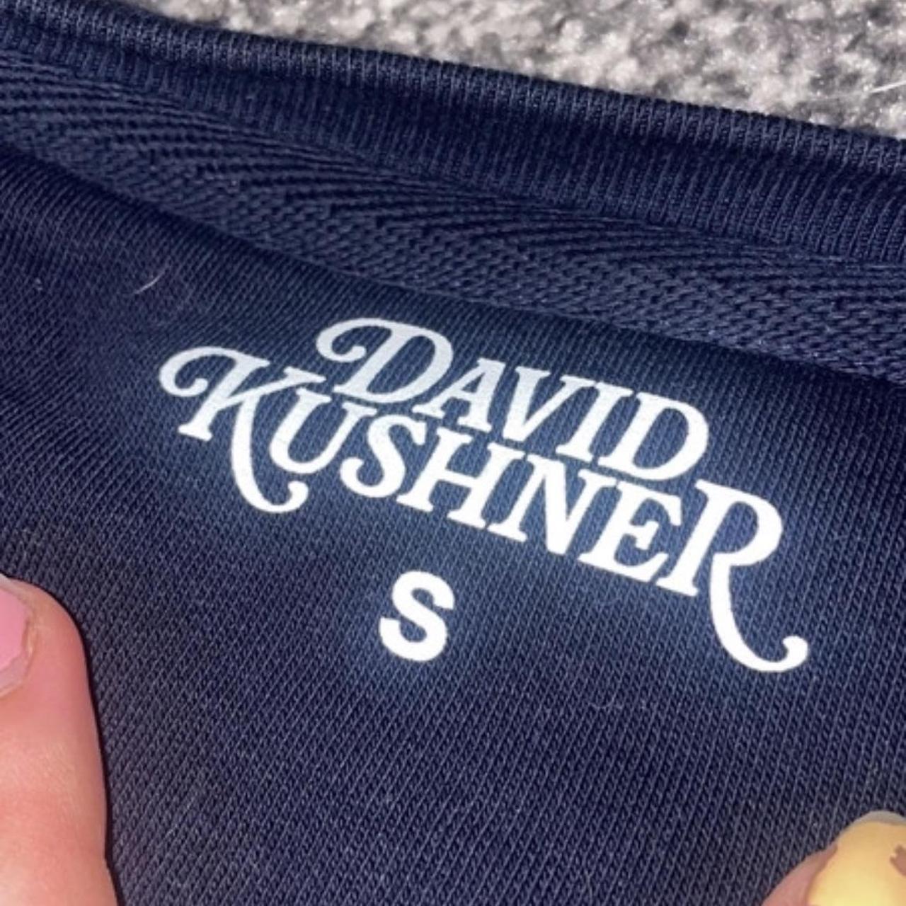 David kushner concert/tour merch 2023 Purchased at... - Depop