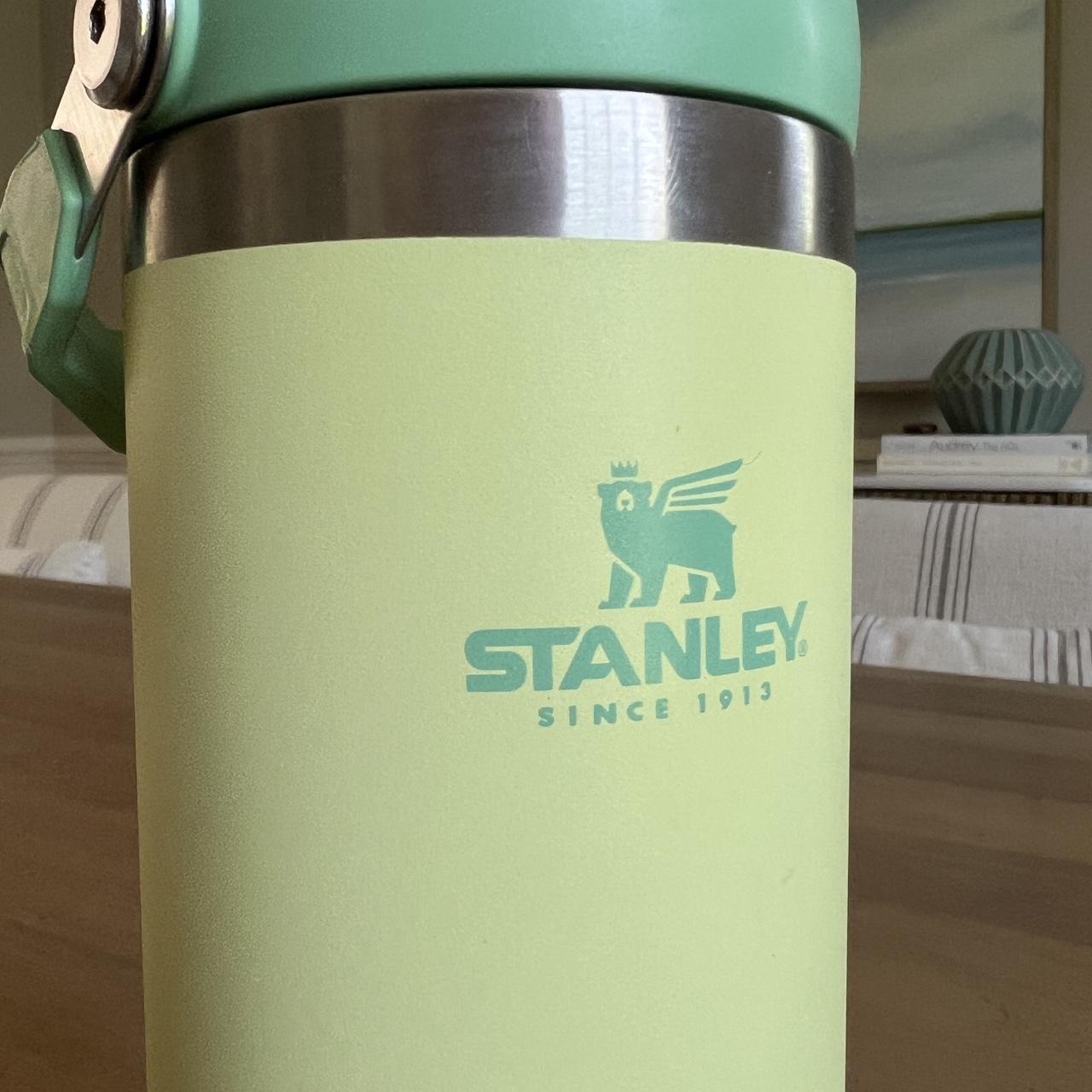 30 oz pretty green Stanley Cup! - Depop