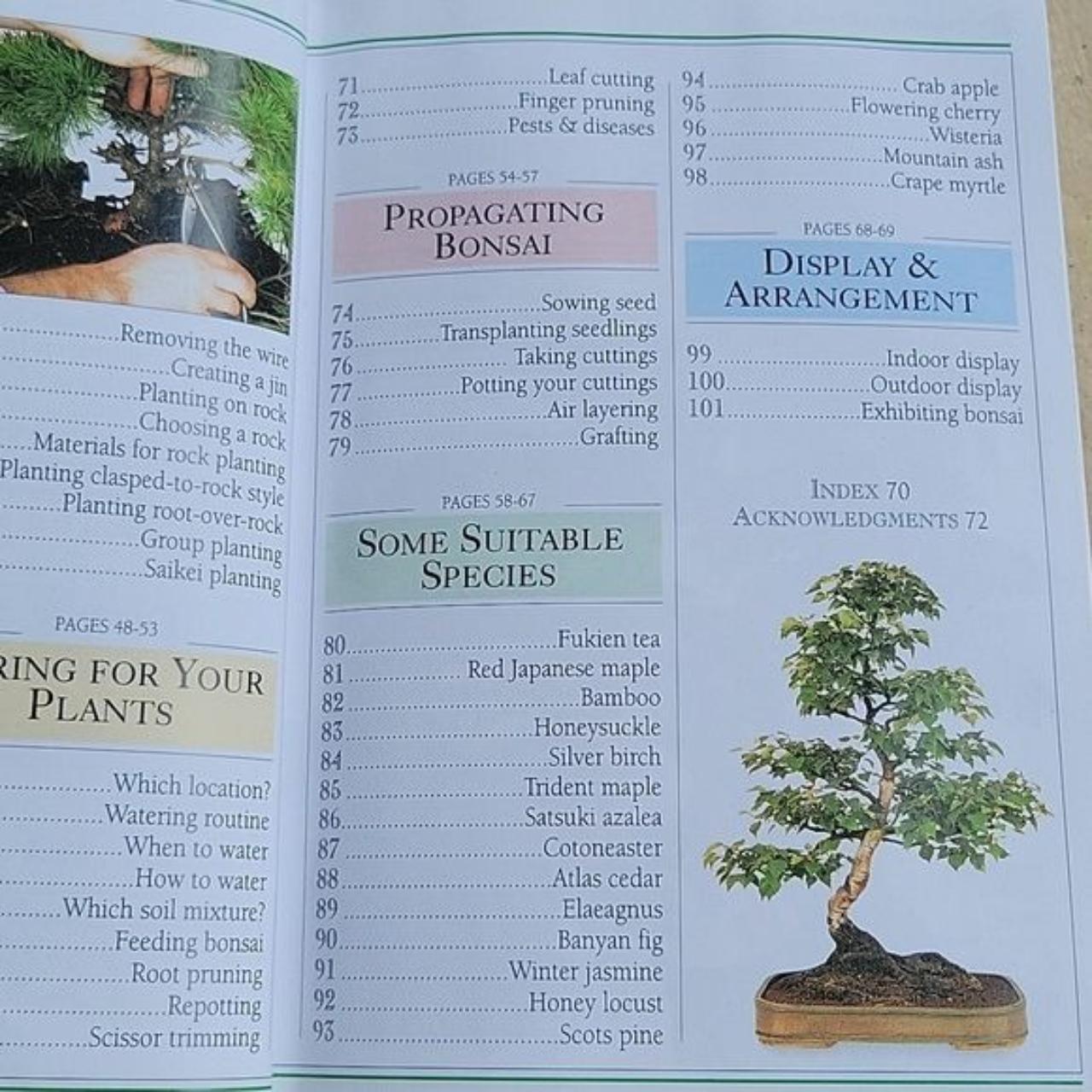 101 Essential Tips Bonsai Breaks down the subject... - Depop 101 Essential Tips Bonsai Breaks down the subject... - Depop