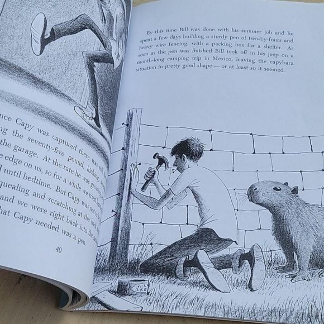 Capyboppy by Bill Peet Sandpiper Houghton Mifflin... - Depop