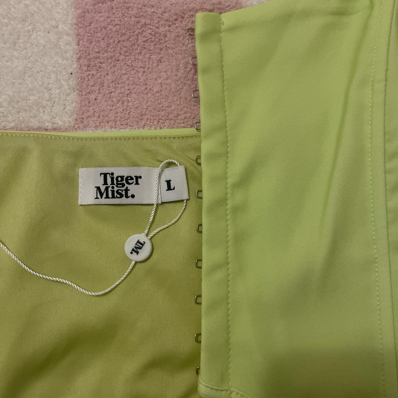 Tiger mist light green corset— never worn has half... - Depop